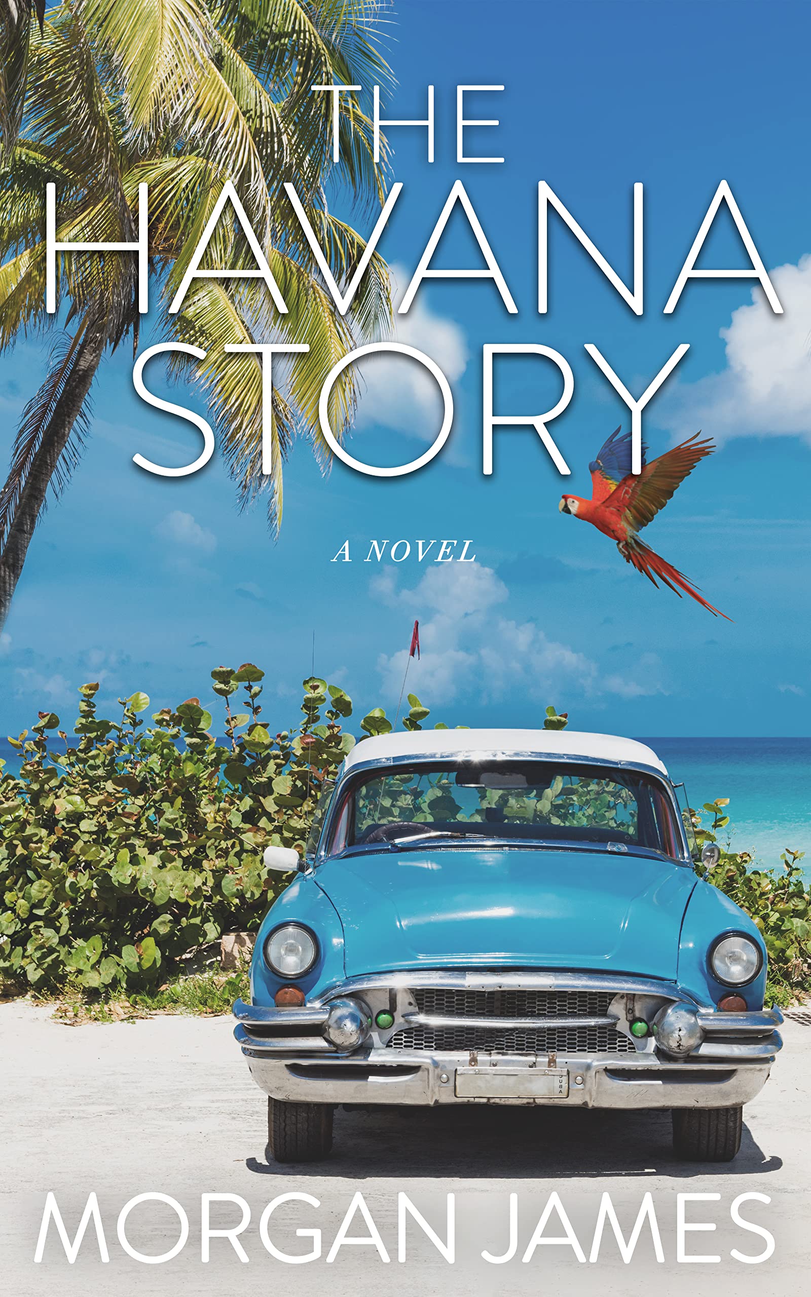 The Havana Story (The Beyond Mysteries, #3) by Morgan James | Goodreads