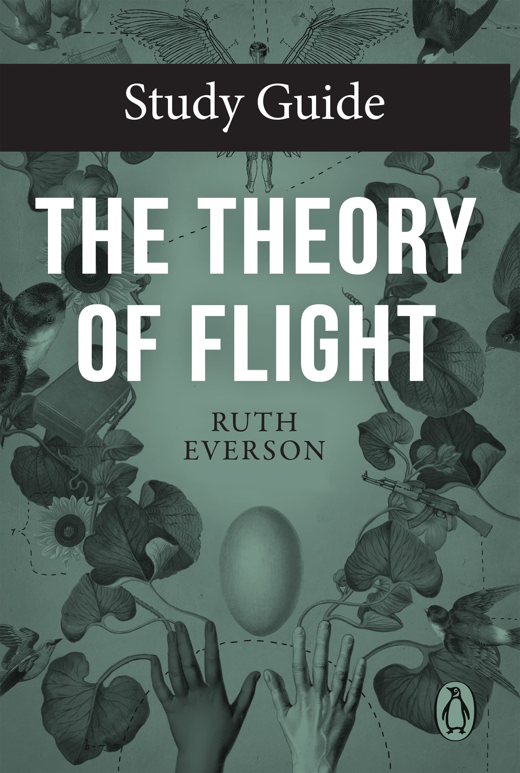 Study Guide: The Theory of Flight by Ruth Everson | Goodreads