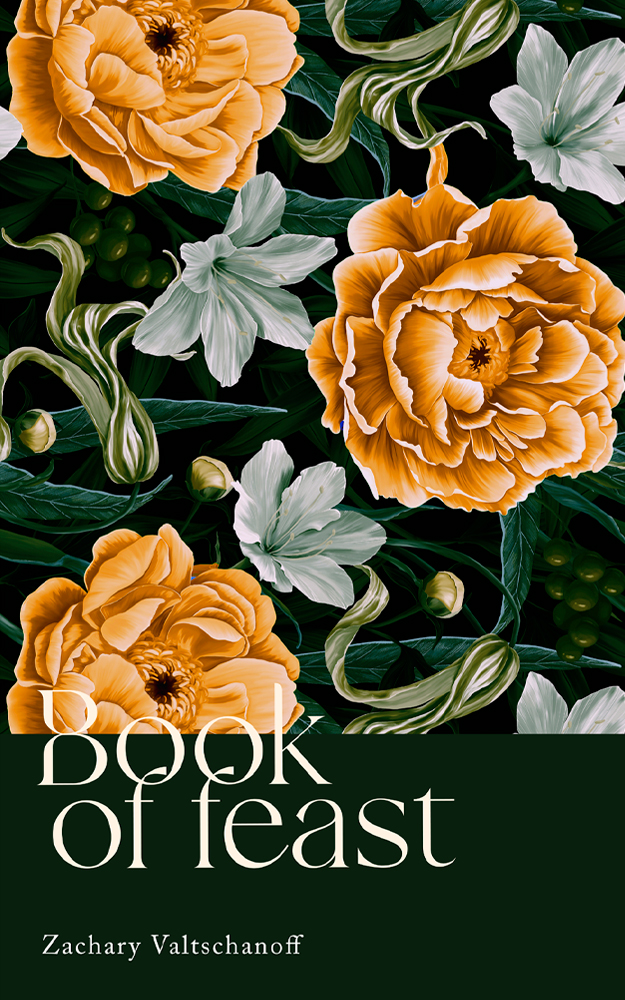 Book Of Feast by Zachary Valtschanoff | Goodreads