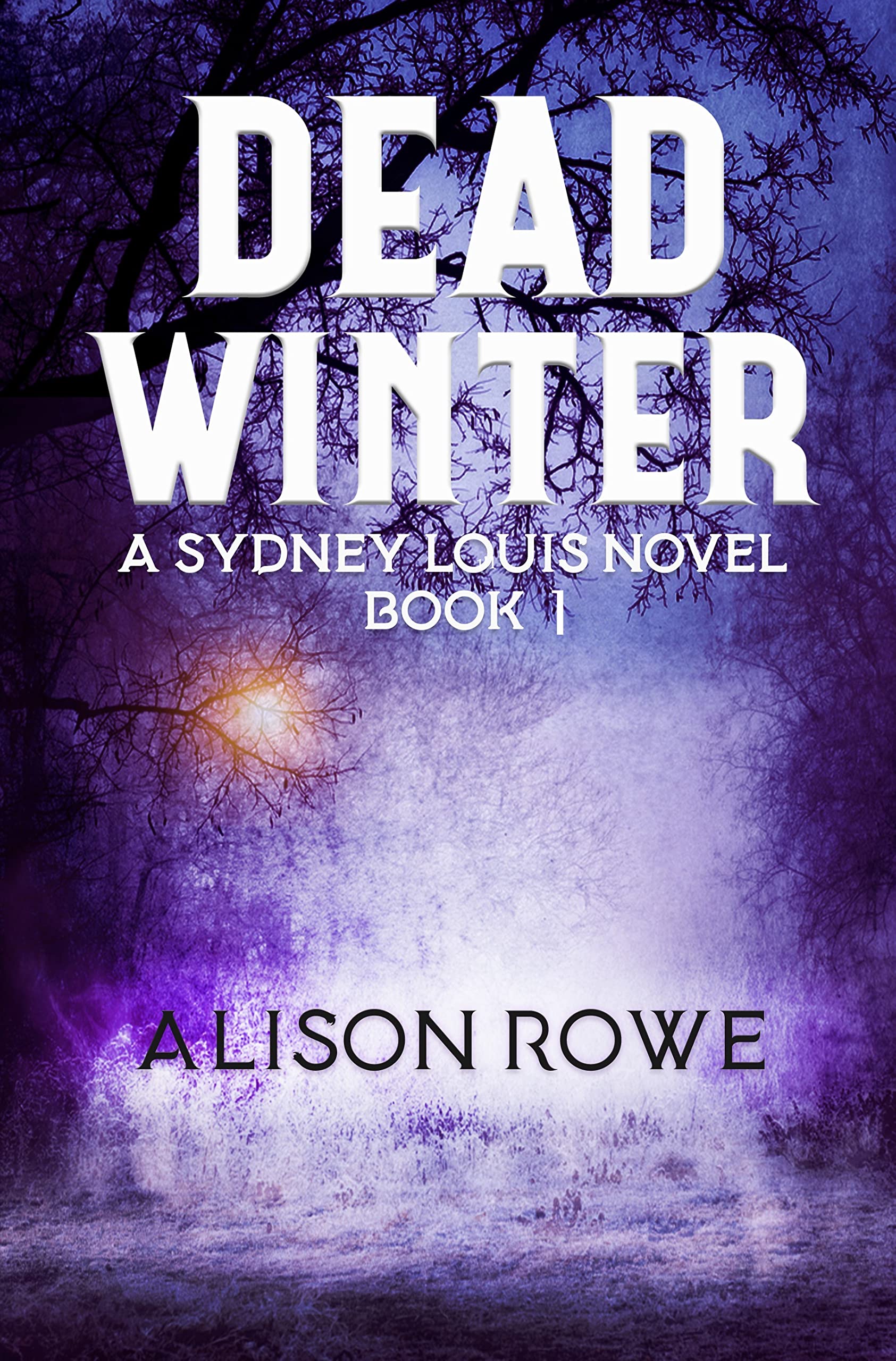 Dead Winter by Alison Rowe | Goodreads
