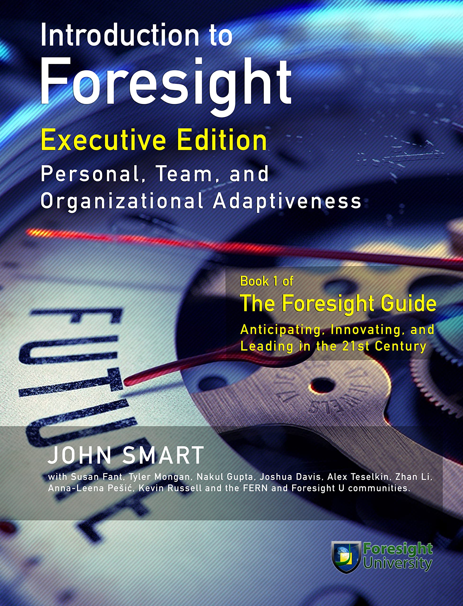 Introduction to Foresight, Executive Edition: Personal, Team, and ...