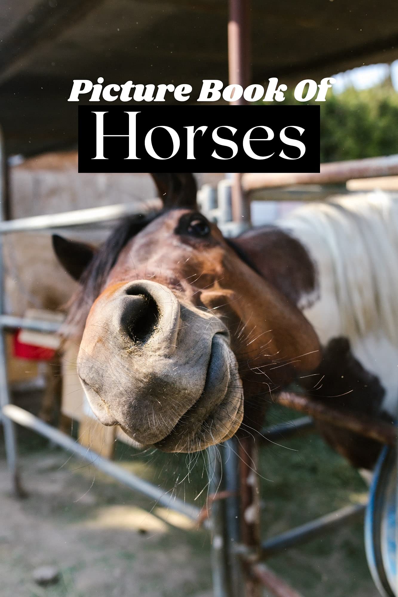 Picture Book Of Horses: A Gift Book For Alzheimer's Patients And ...
