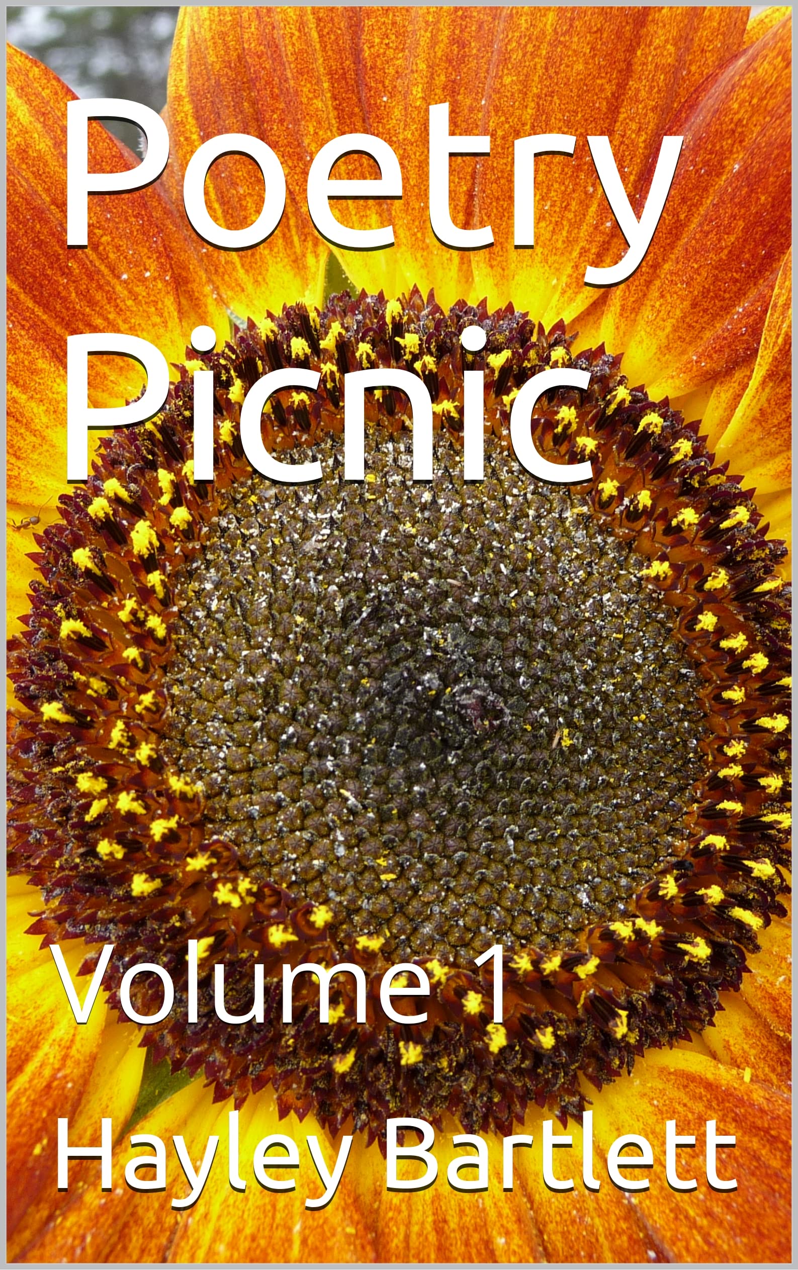 Poetry Picnic: Volume 1 by Hayley Bartlett | Goodreads