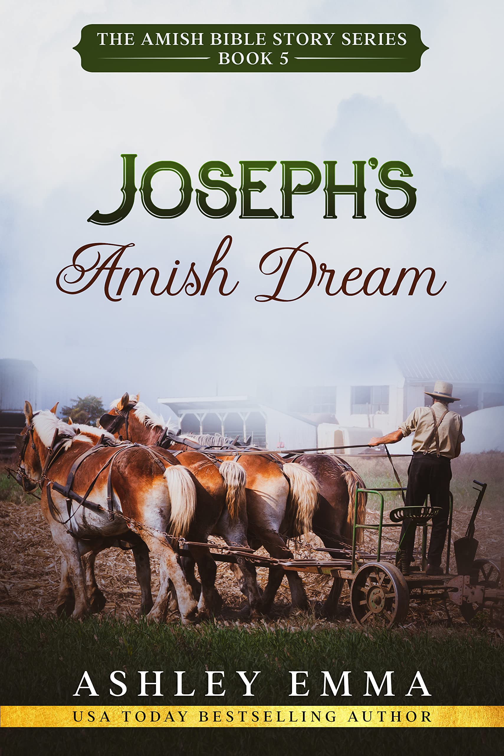 Joseph's Amish Dream (a retelling of Joseph and the Coat of Many Colors): The Amish Bible Story ...