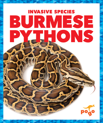 Burmese Pythons by Alicia Klepeis | Goodreads
