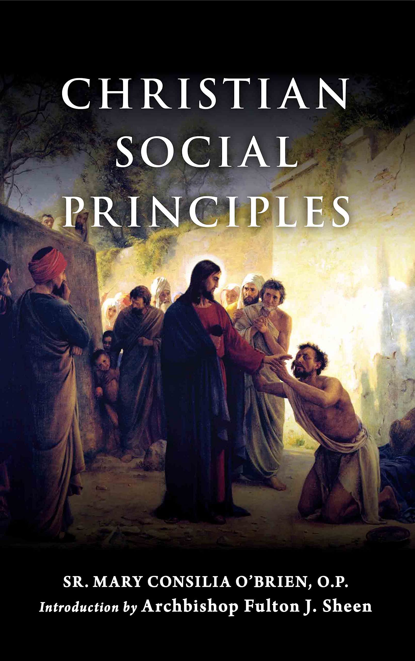Christian Social Principles: The Complete Guide to Catholic Social ...