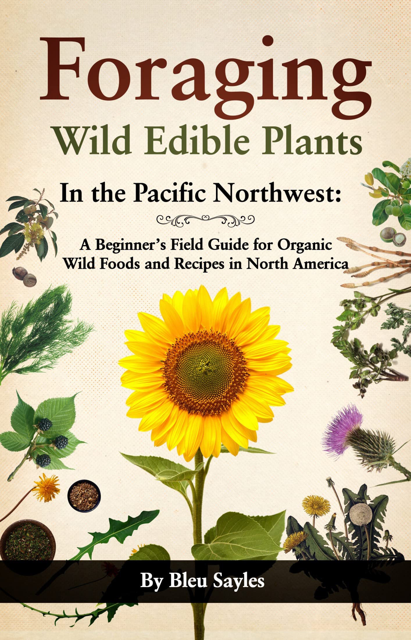 Foraging Wild Edible Plants in the Pacific Northwest: A Beginner's ...