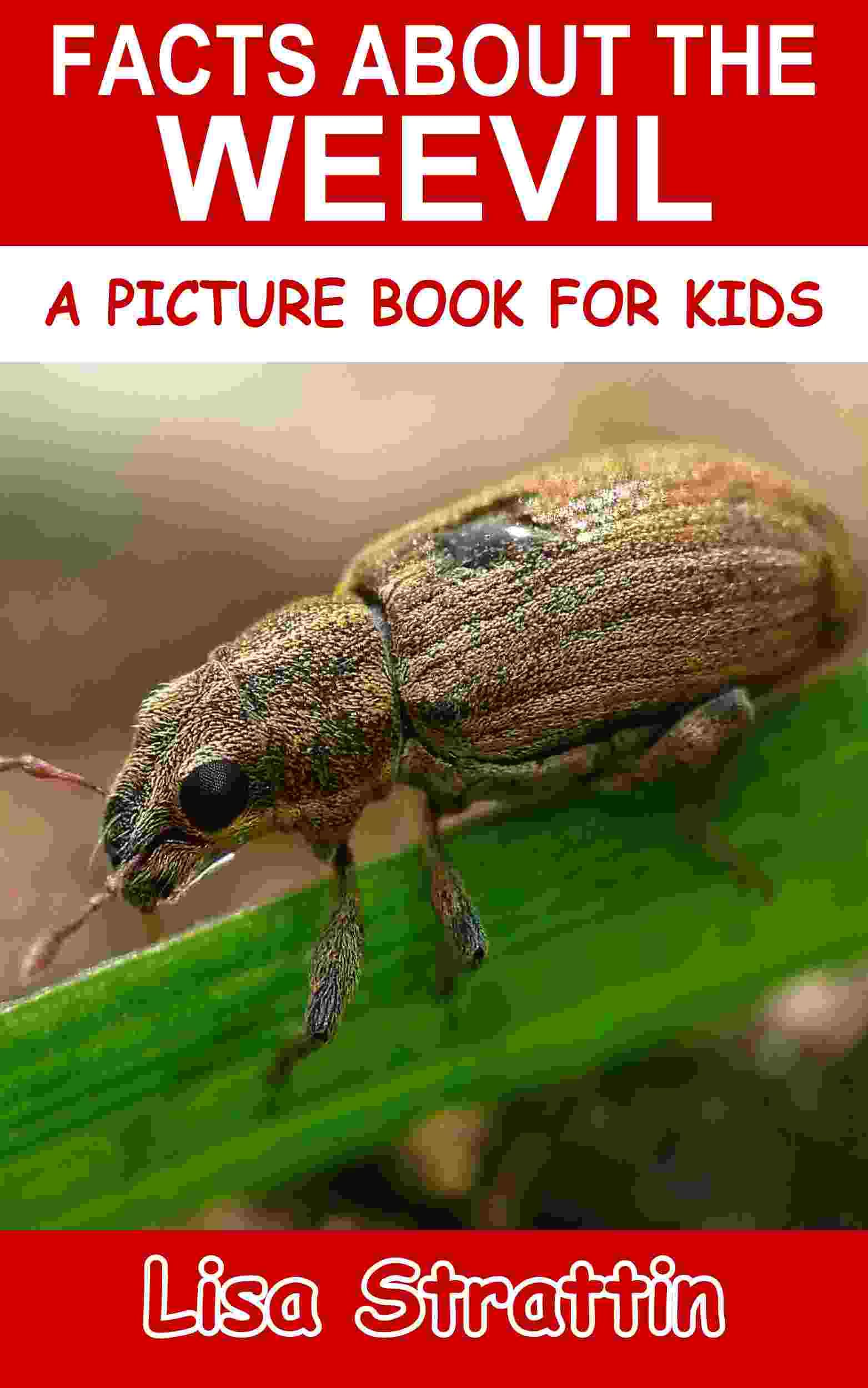 Facts About the Weevil (A Picture Book For Kids 425) by Lisa Strattin ...