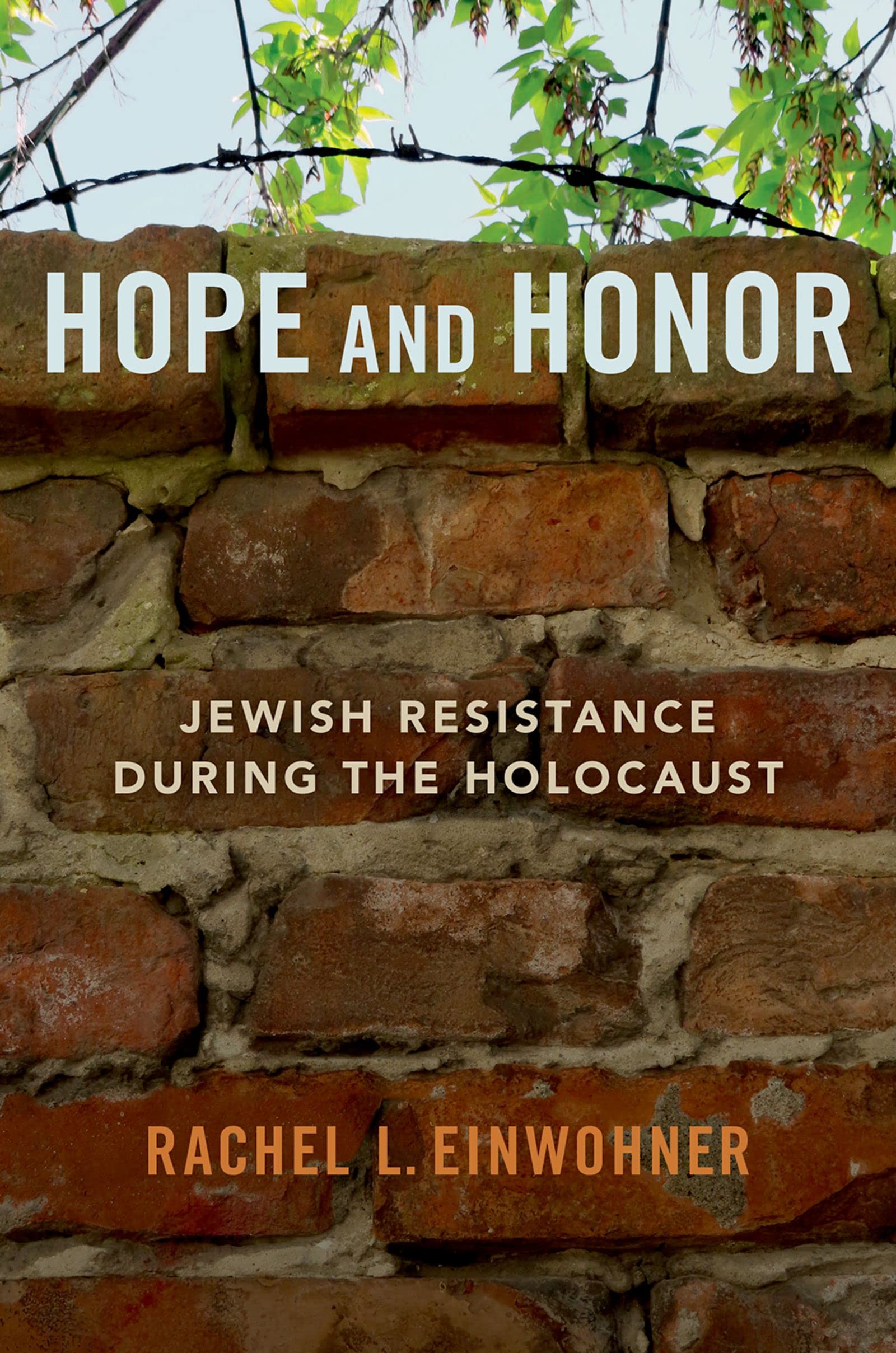 Hope and Honor: Jewish Resistance during the Holocaust by Rachel L ...