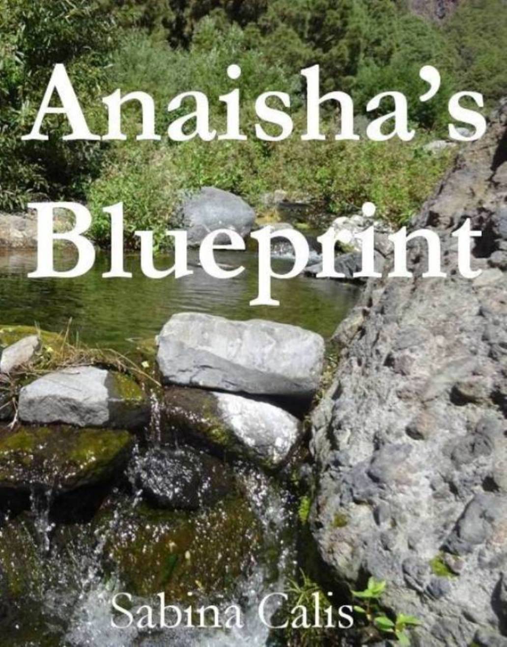 Anaisha's Blueprint by Sabina Calis | Goodreads