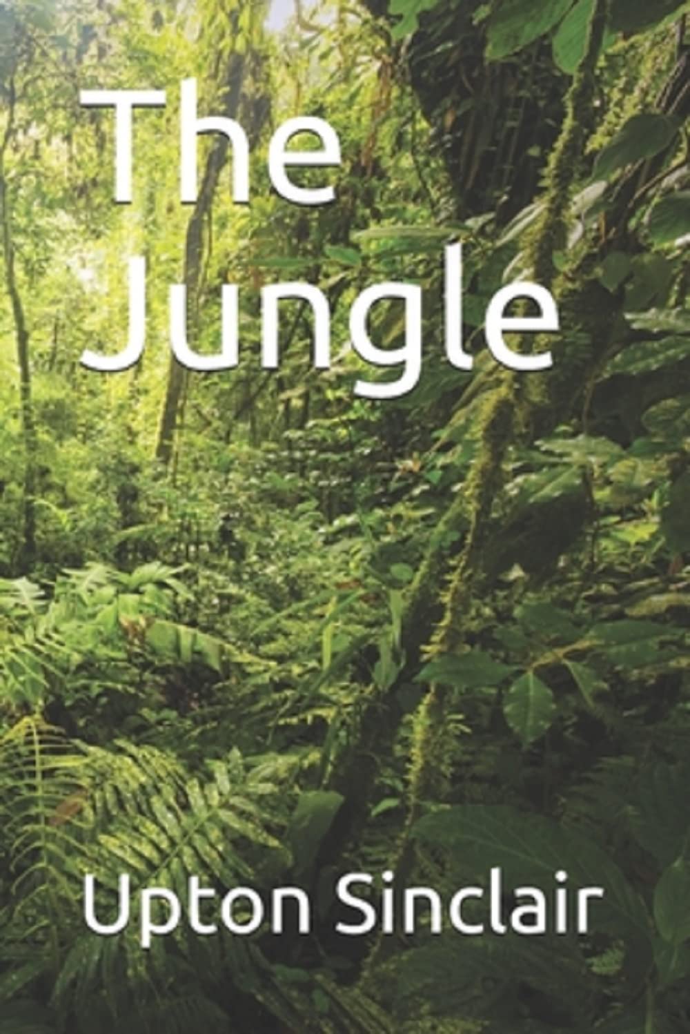 The Jungle by Upton Sinclair (Illustrated Edition) by Upton Sinclair ...