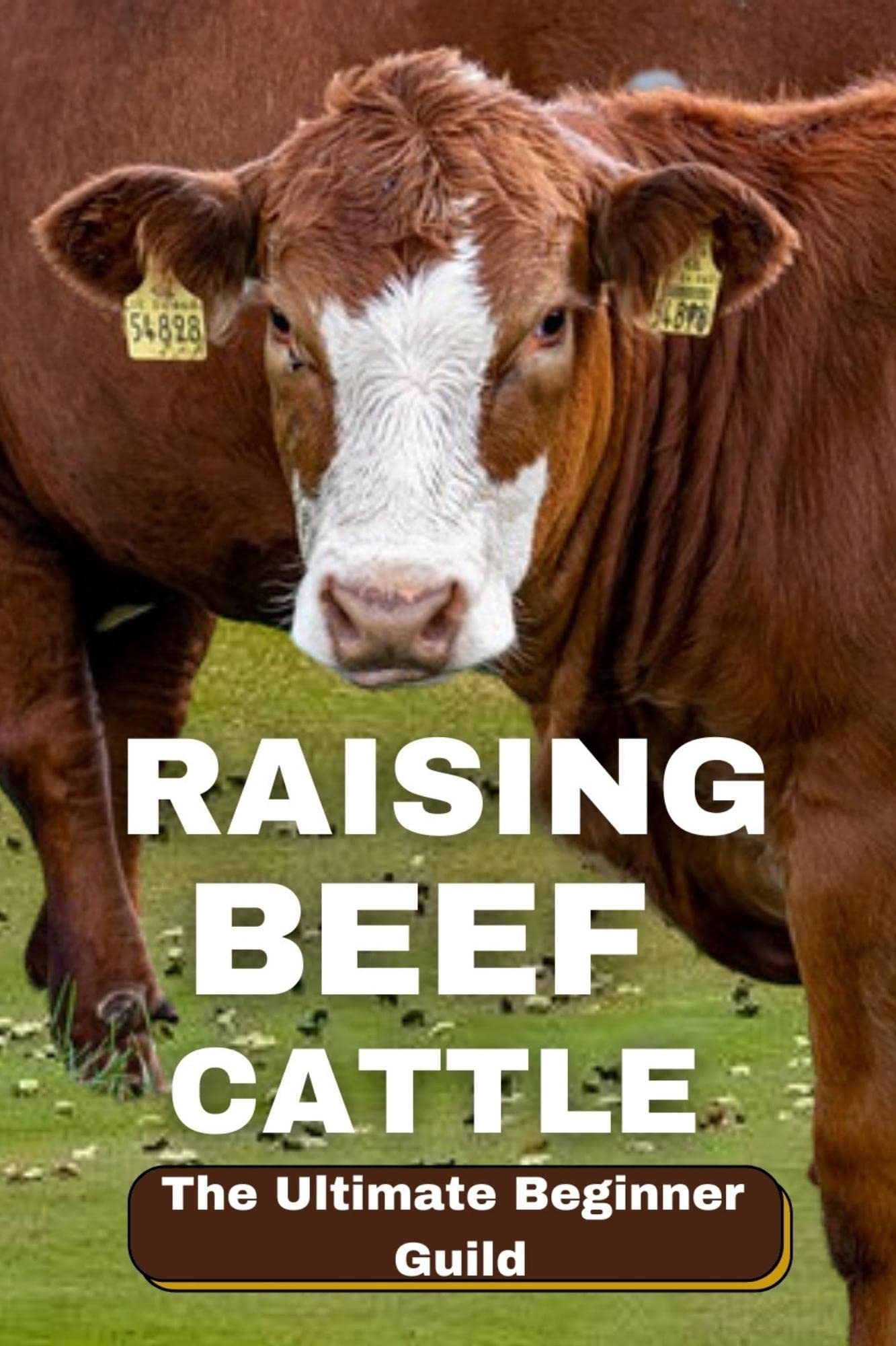 Raising Beef Cattles For Beginners: Step by step Dummies to Advanced ...