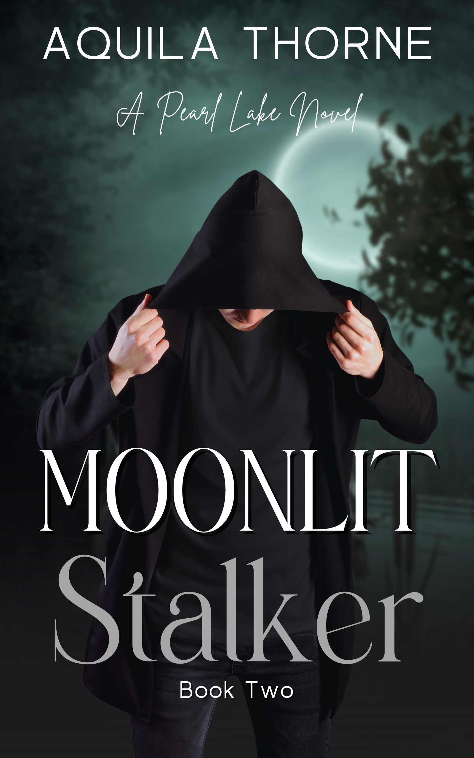 Moonlit Stalker (Pearl Lake, #2) by Aquila Thorne | Goodreads