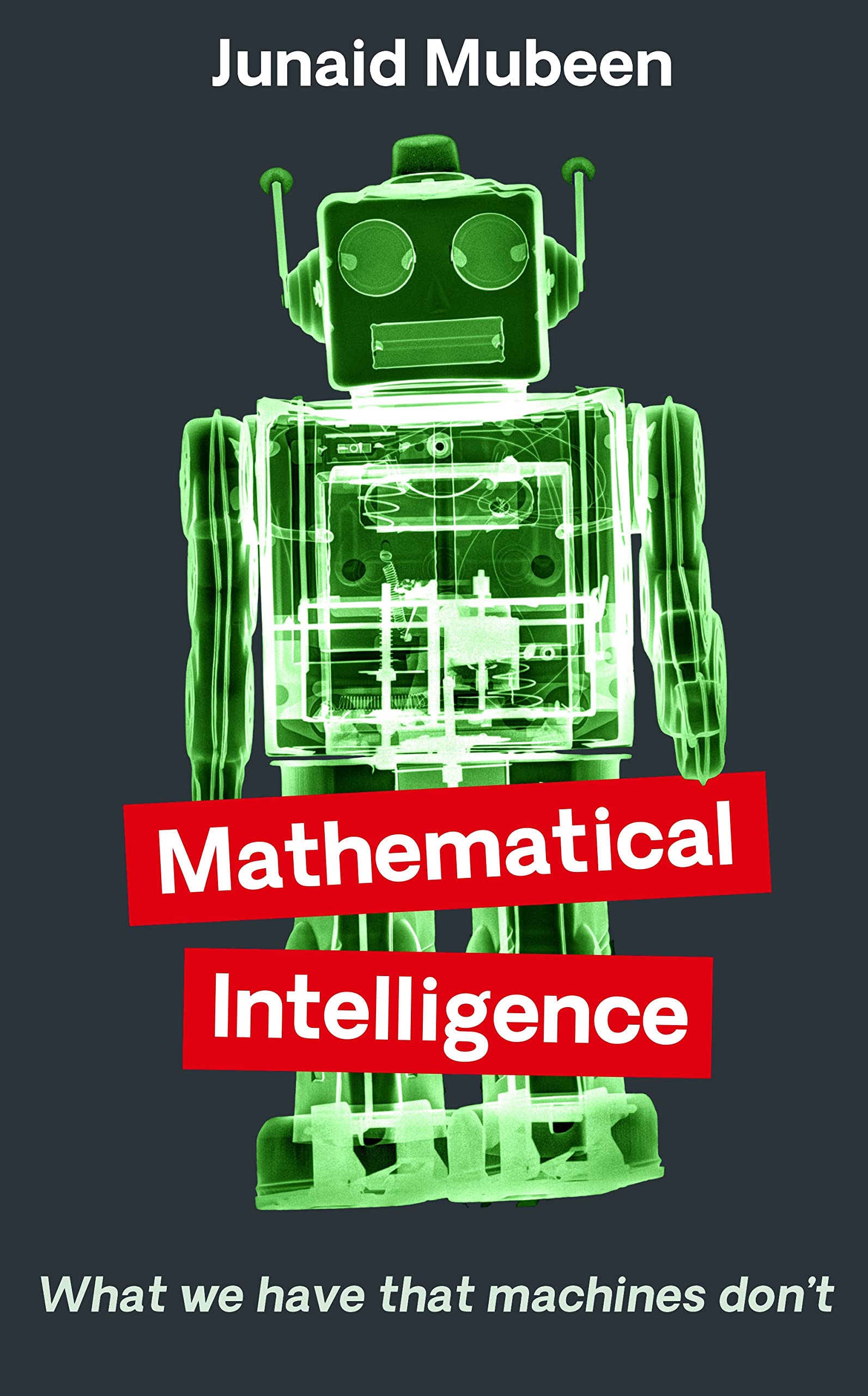 Mathematical Intelligence: What We Have that Machines Don't by Junaid ...