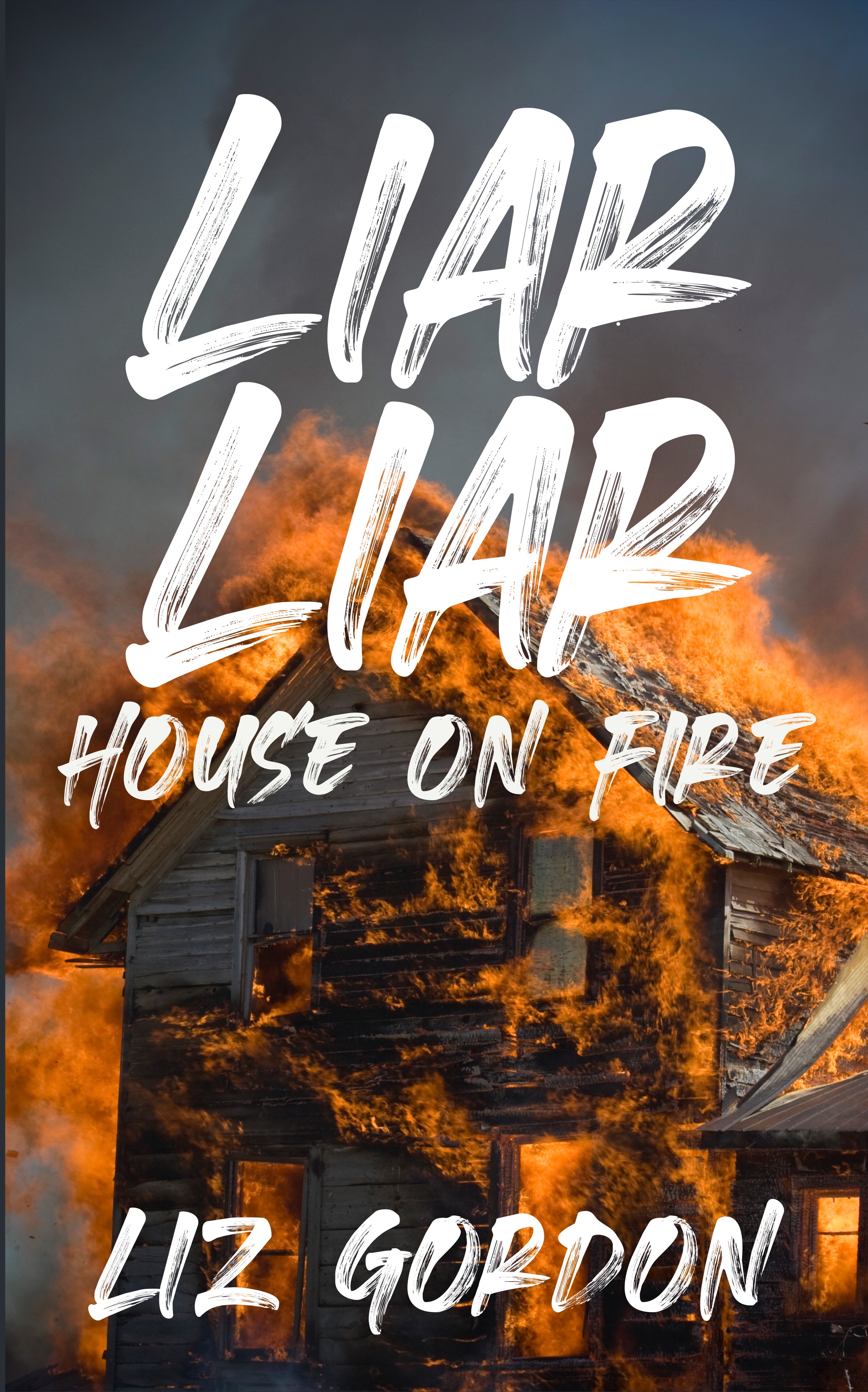 LIAR LIAR HOUSE ON FIRE by Liz Gordon | Goodreads