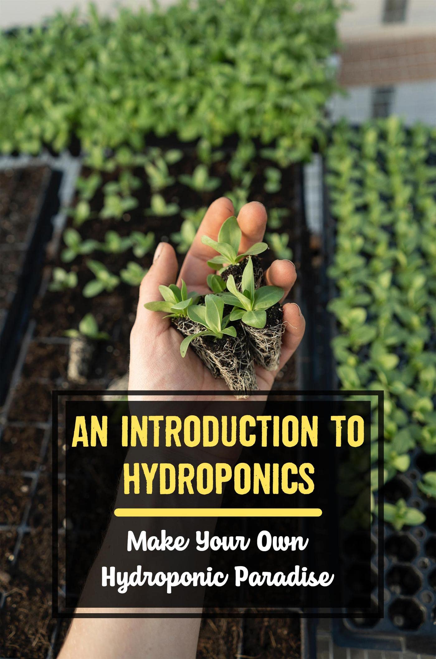 An Introduction To Hydroponics: Make Your Own Hydroponic Paradise by ...