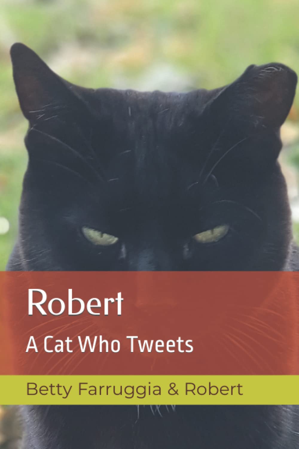 {Book Review} Robert: A Cat Who Tweets – Kelsey Ketch