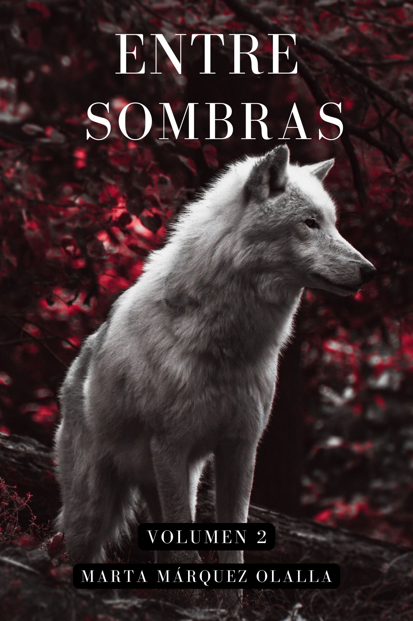 Entre Sombras Volumen 2 by Marta Márquez Olalla | Goodreads