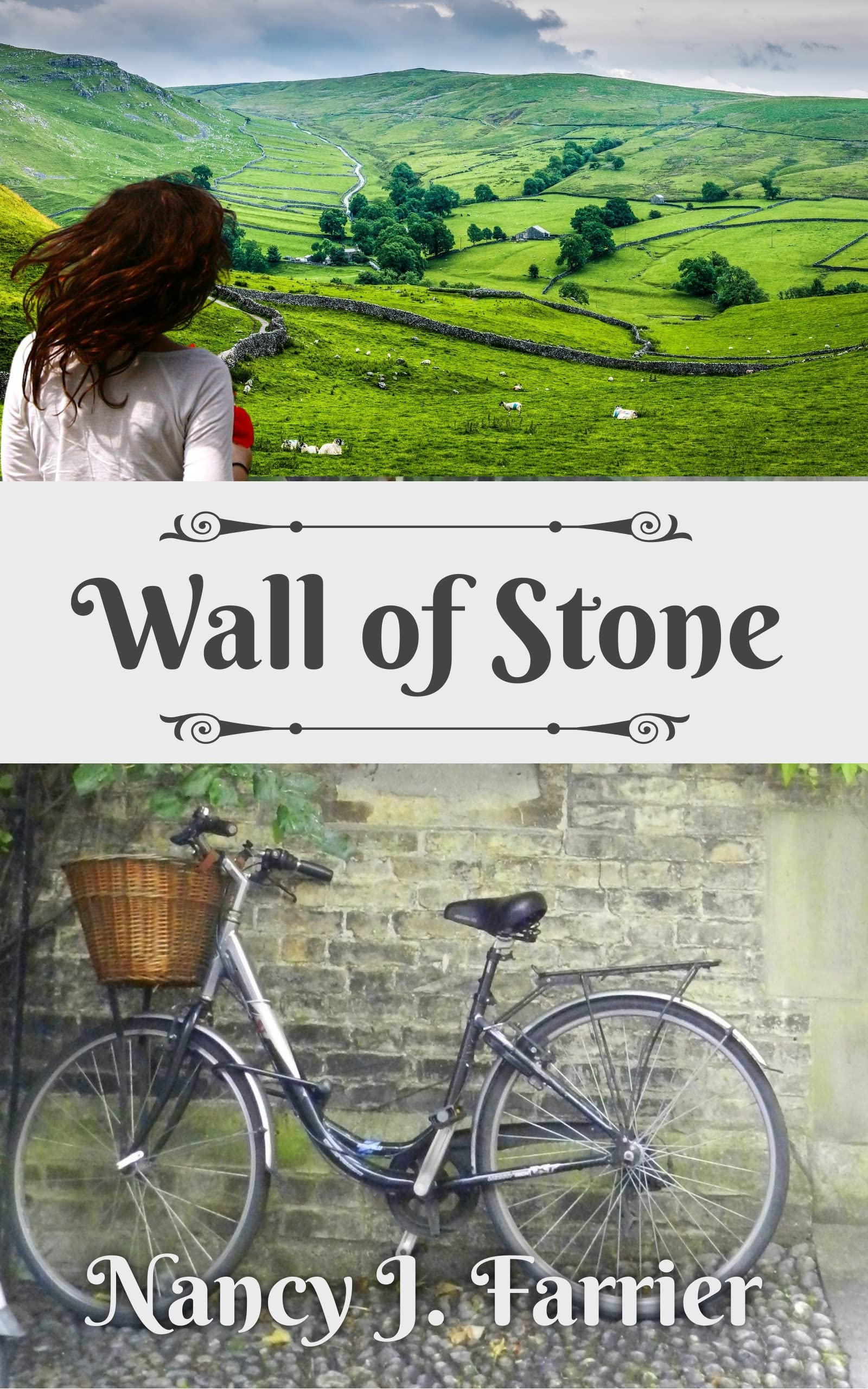 Wall of Stone by Nancy J. Farrier | Goodreads