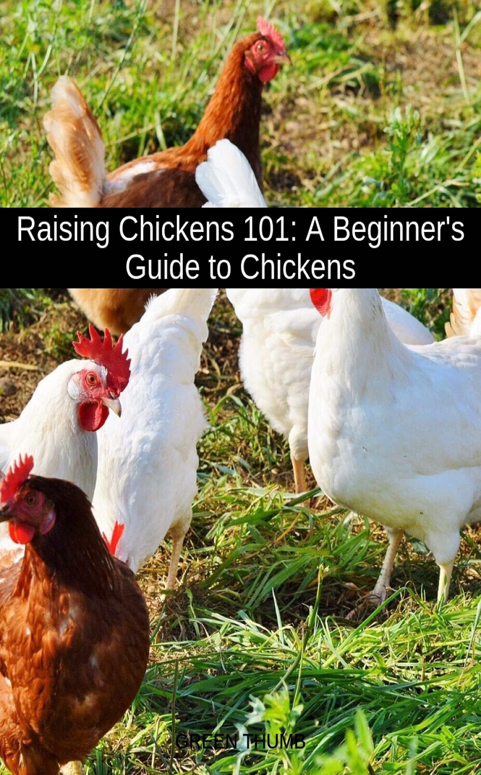 Raising Chickens 101 : A Beginner's Guide to Chickens by Promise Land ...