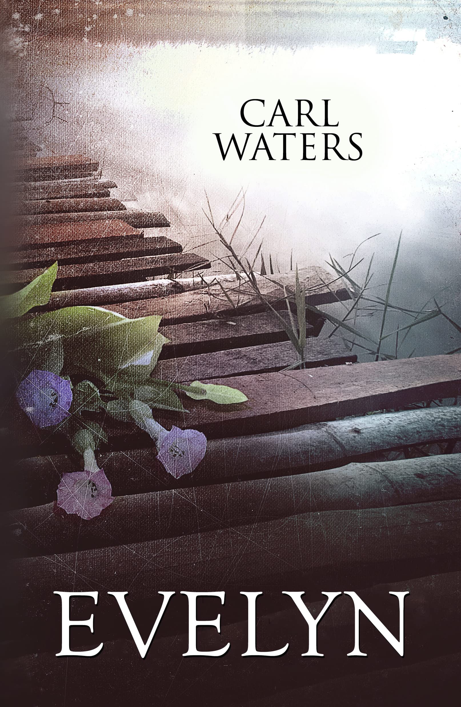 Evelyn (Burning Uncle Tom's Cabin Book 2) by Carl Waters | Goodreads