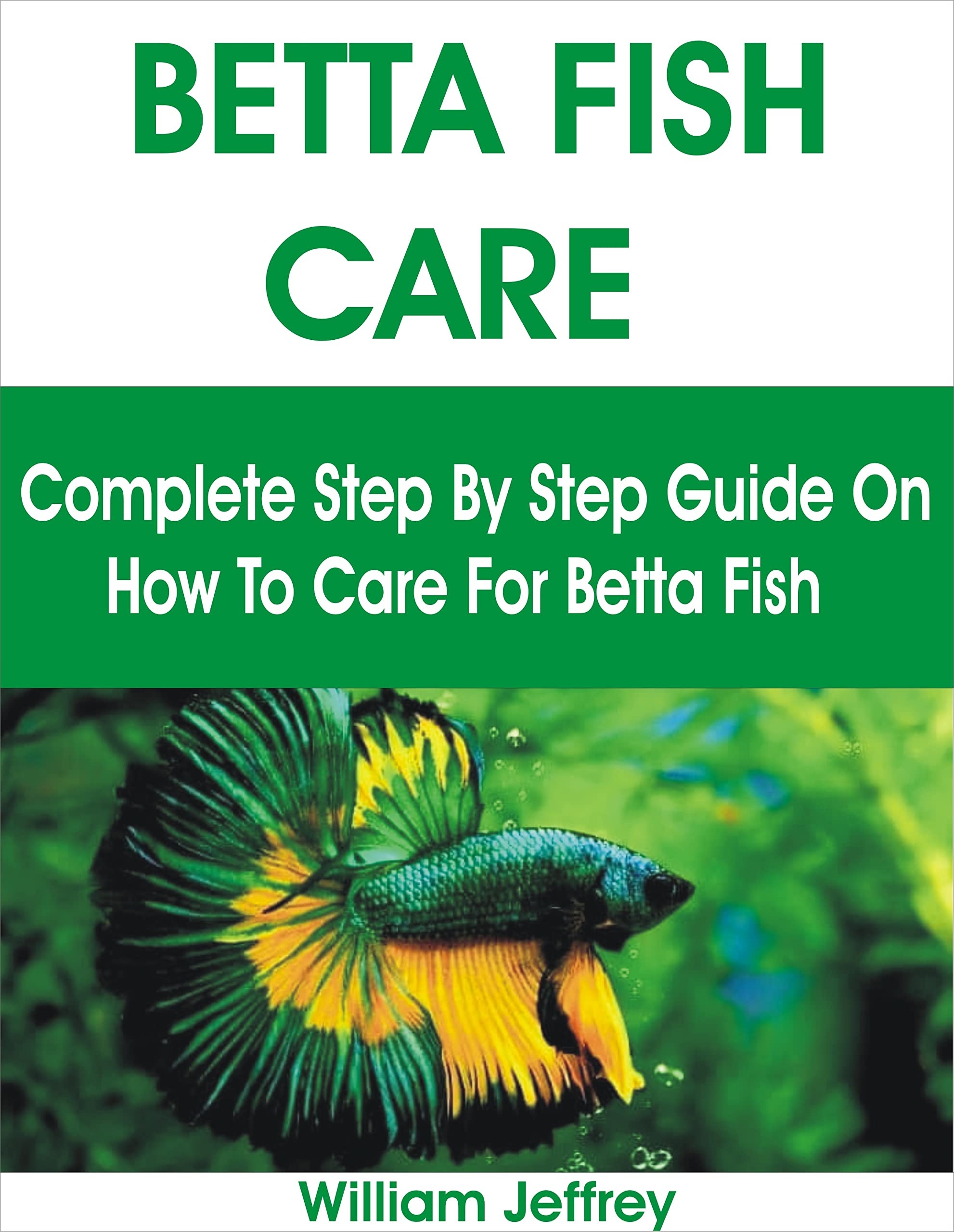 BETTA FISH CARE: Complete Step By Step Guide On How To Care For Betta ...
