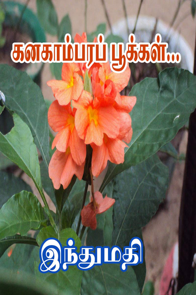 கனகாம்பரப் பூக்கள் (Tamil Edition) by Indhumathi | Goodreads