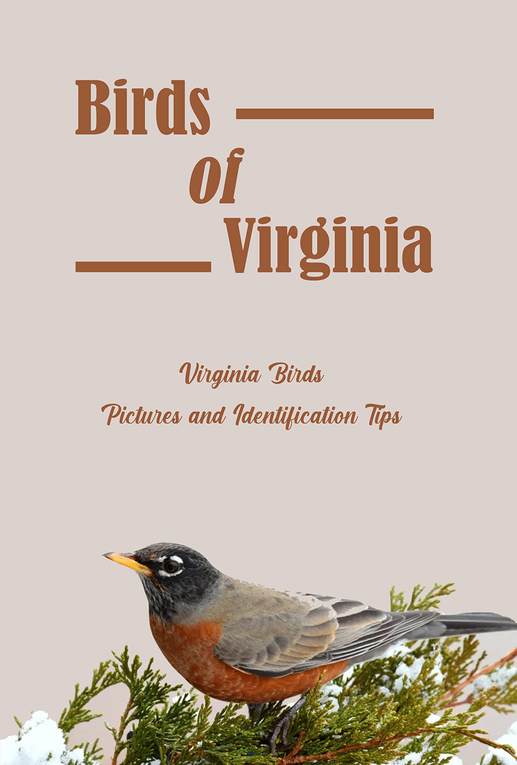Birds of Virginia: Virginia Birds Pictures and Identification Tips ...