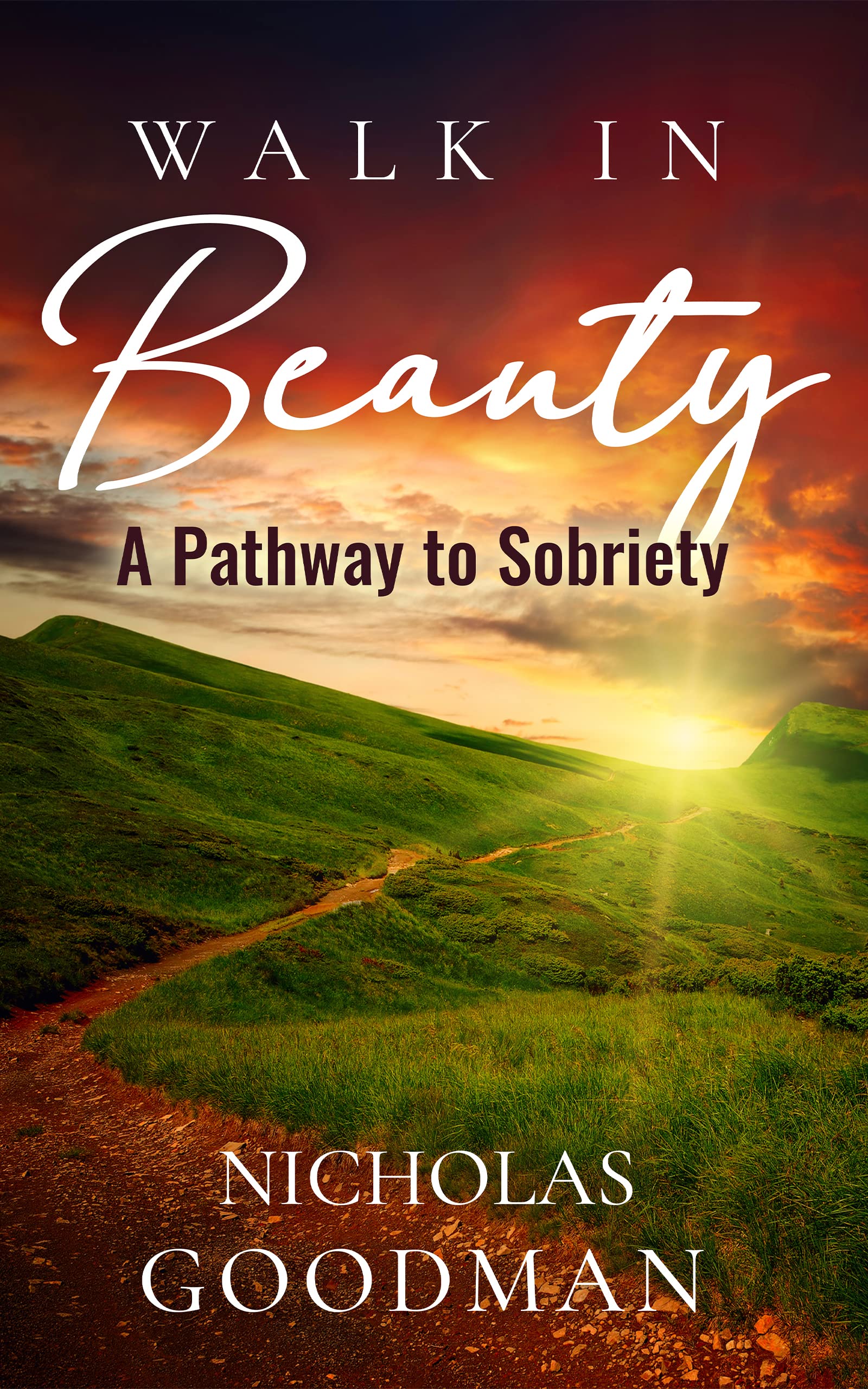 Walk in Beauty: A Pathway to Sobriety by Nicholas Goodman | Goodreads