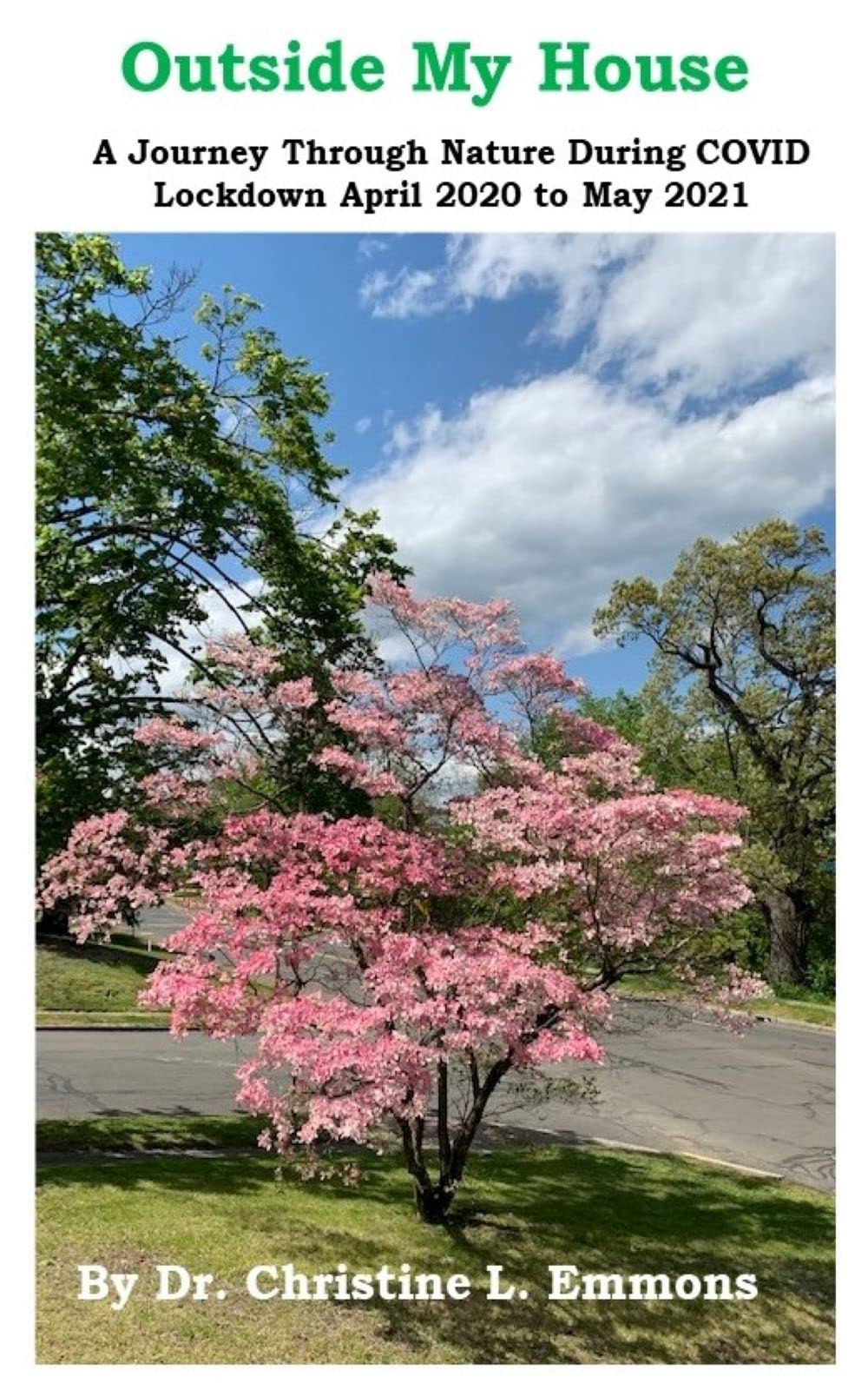 Outside My House: A Journey Through Nature During COVID Lockdown, April ...