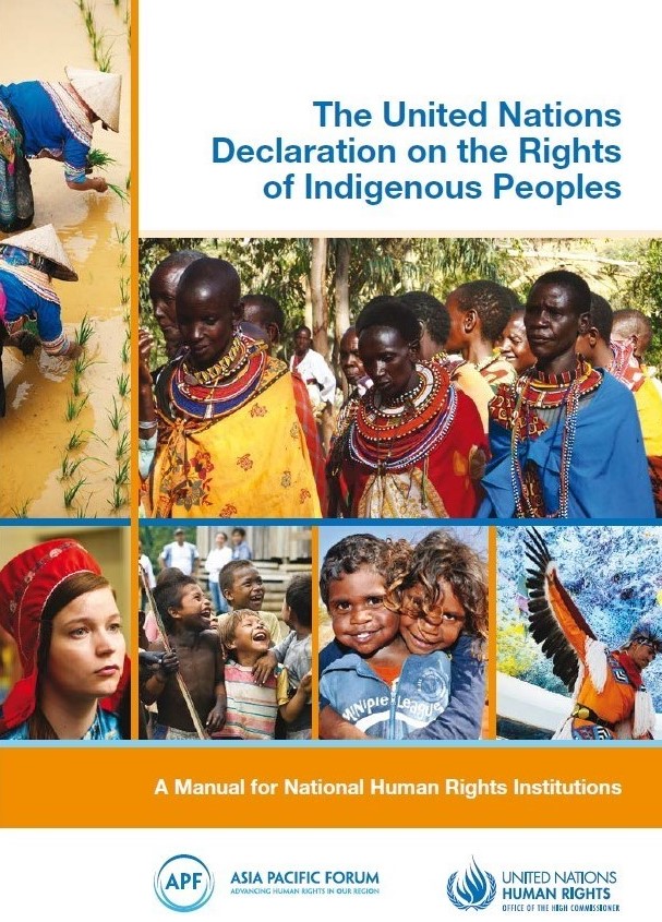 The United Nations Declaration on the Rights of Indigenous Peoples: A ...