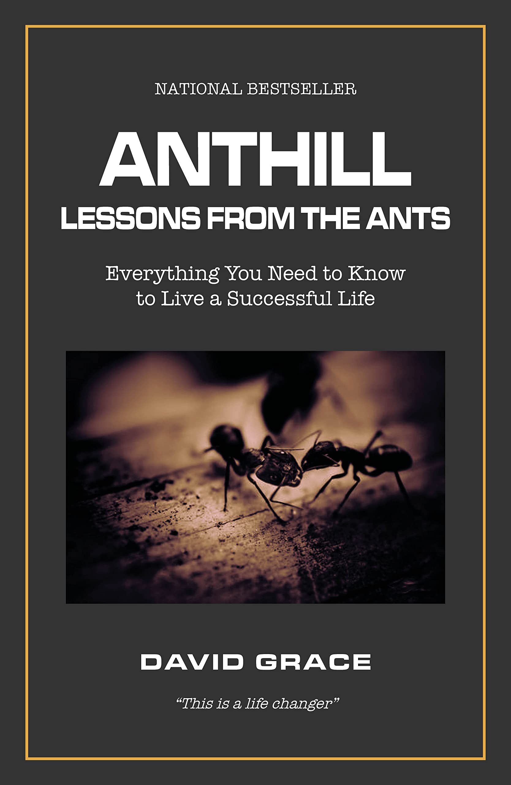 Anthill: lessons from the ants: Everything You Need to Know to Live a ...