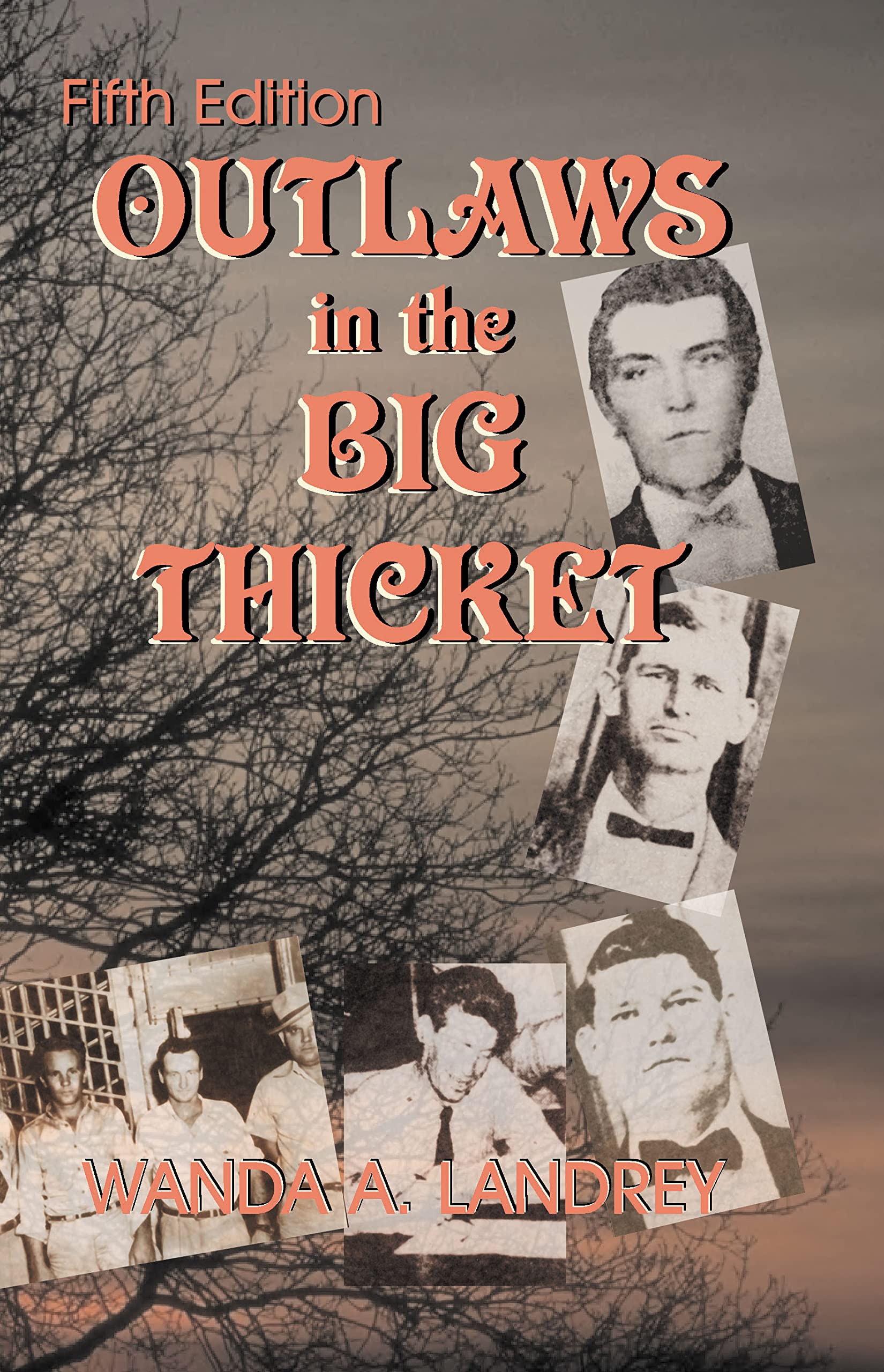 Outlaws of the Big thicket by Wanda A. Landrey | Goodreads