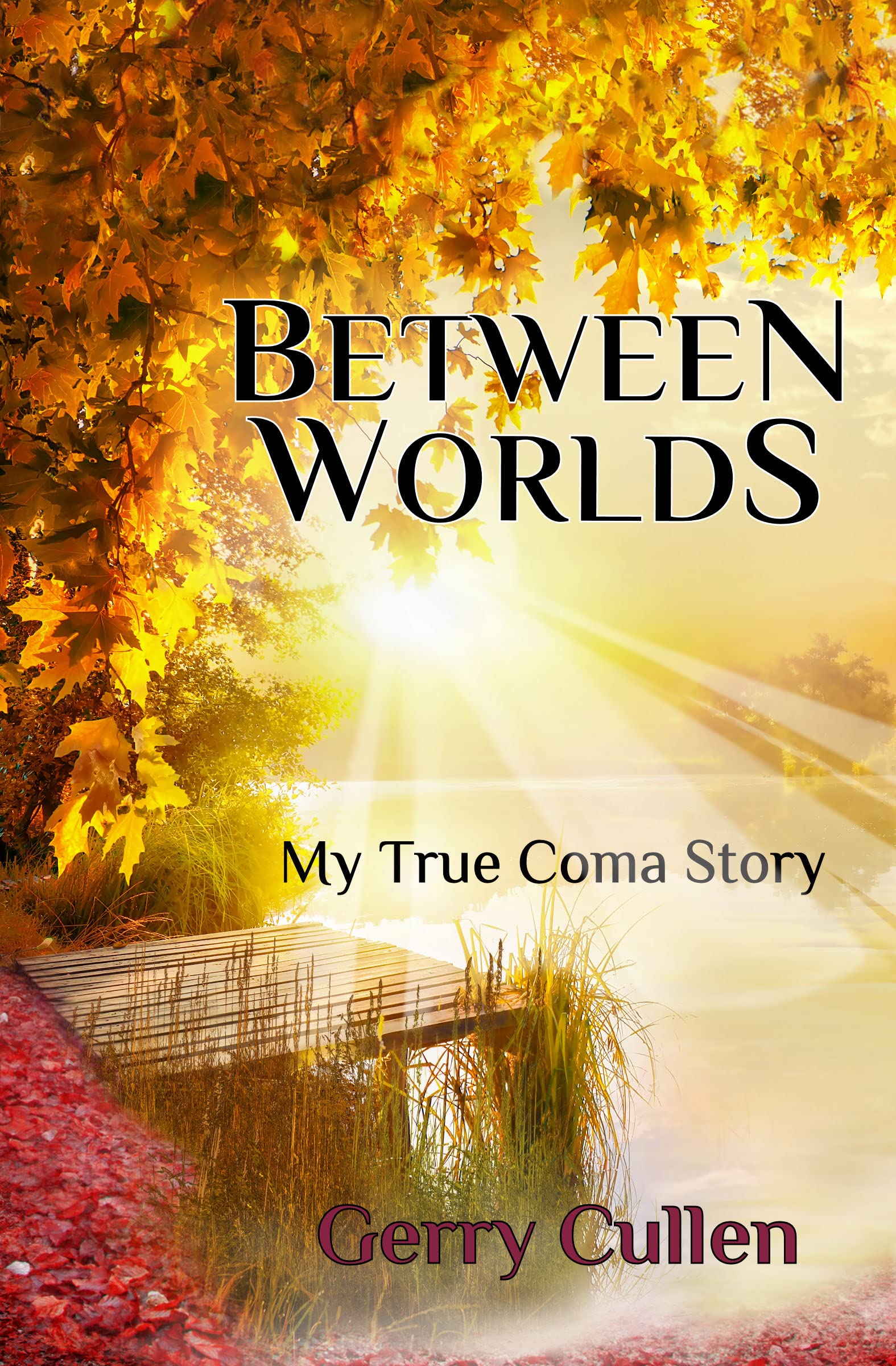 Between Worlds: My True Coma Story by Gerry Cullen | Goodreads