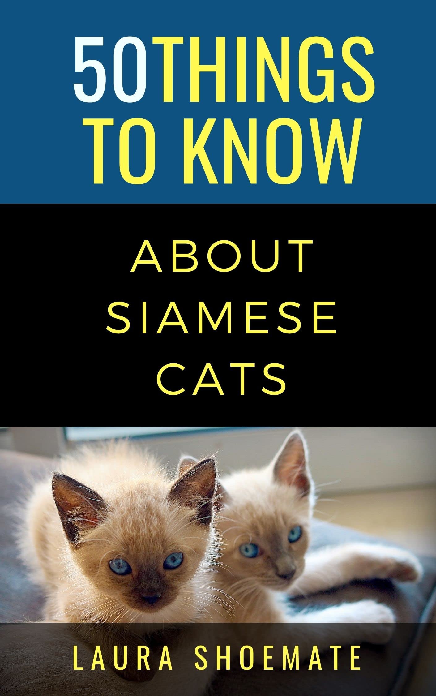 50 Things to Know Siamese Cats : From Kitten to Cat by Laura Shoemate ...