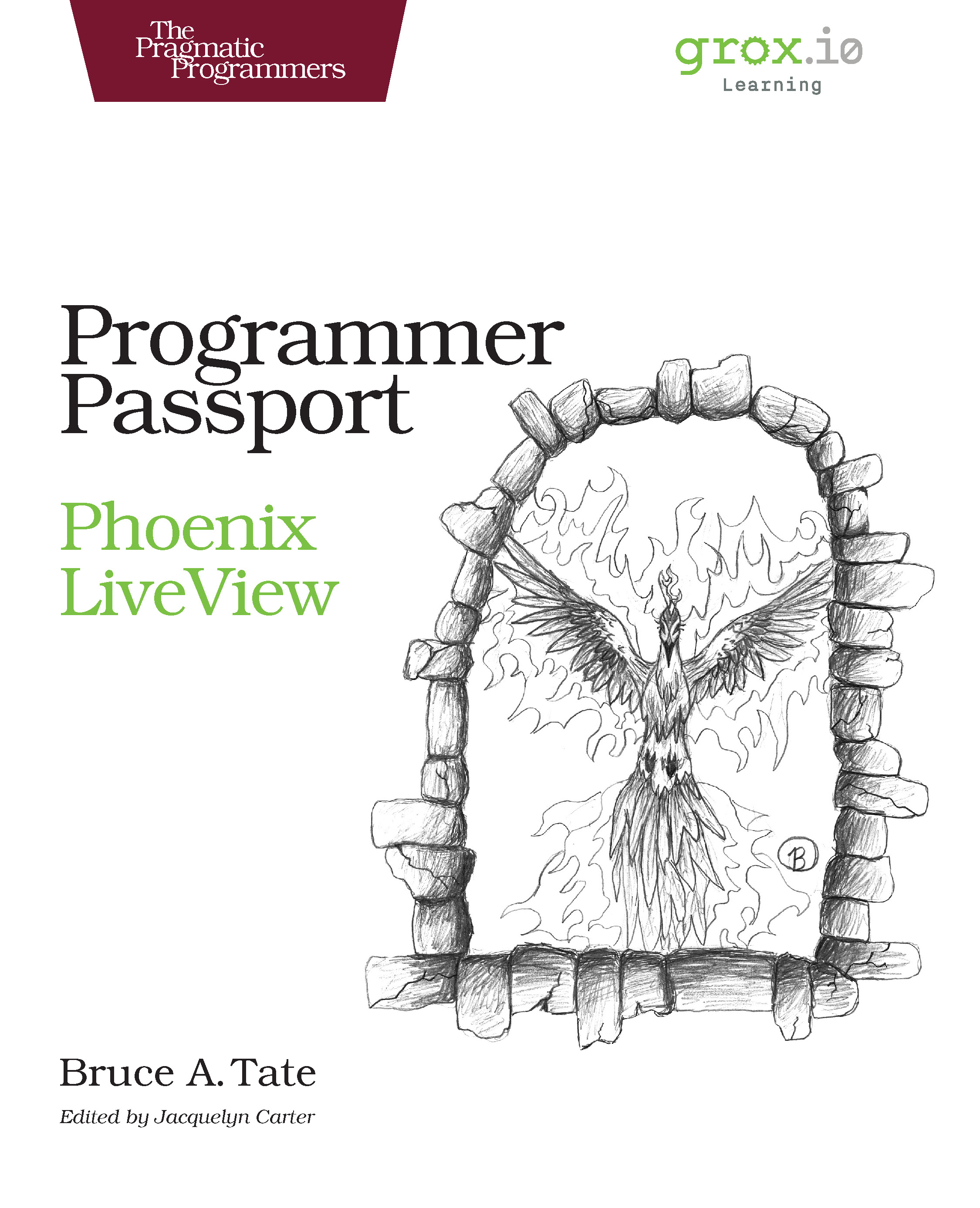 Programmer Passport: Liveview by Bruce Tate | Goodreads