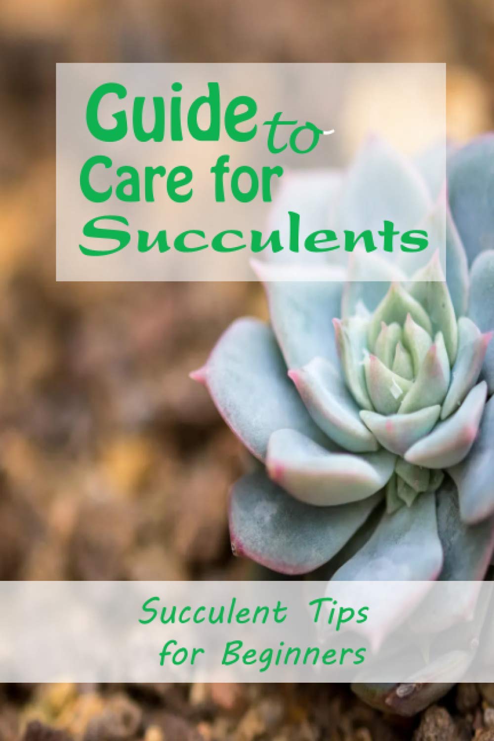 Guide to Care for Succulents: Succulent Tips for Beginners: How to Grow Succulents by Mr LINDA ...