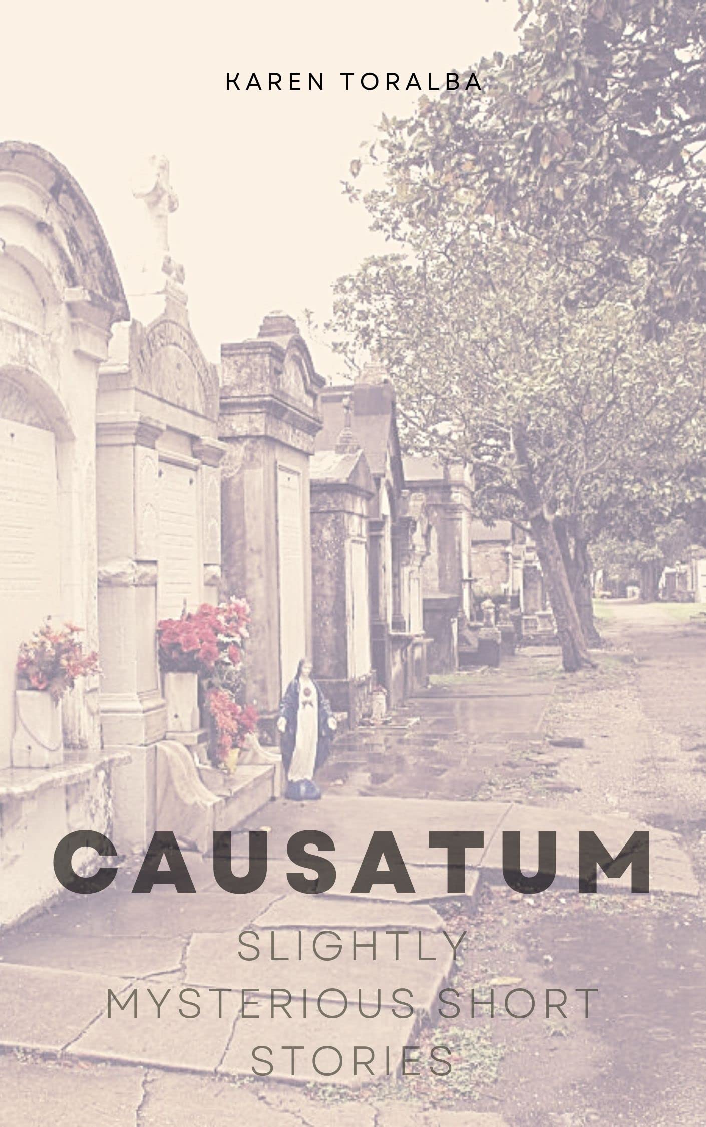 Causatum: Slightly Mysterious Short Stories by Karen Toralba | Goodreads
