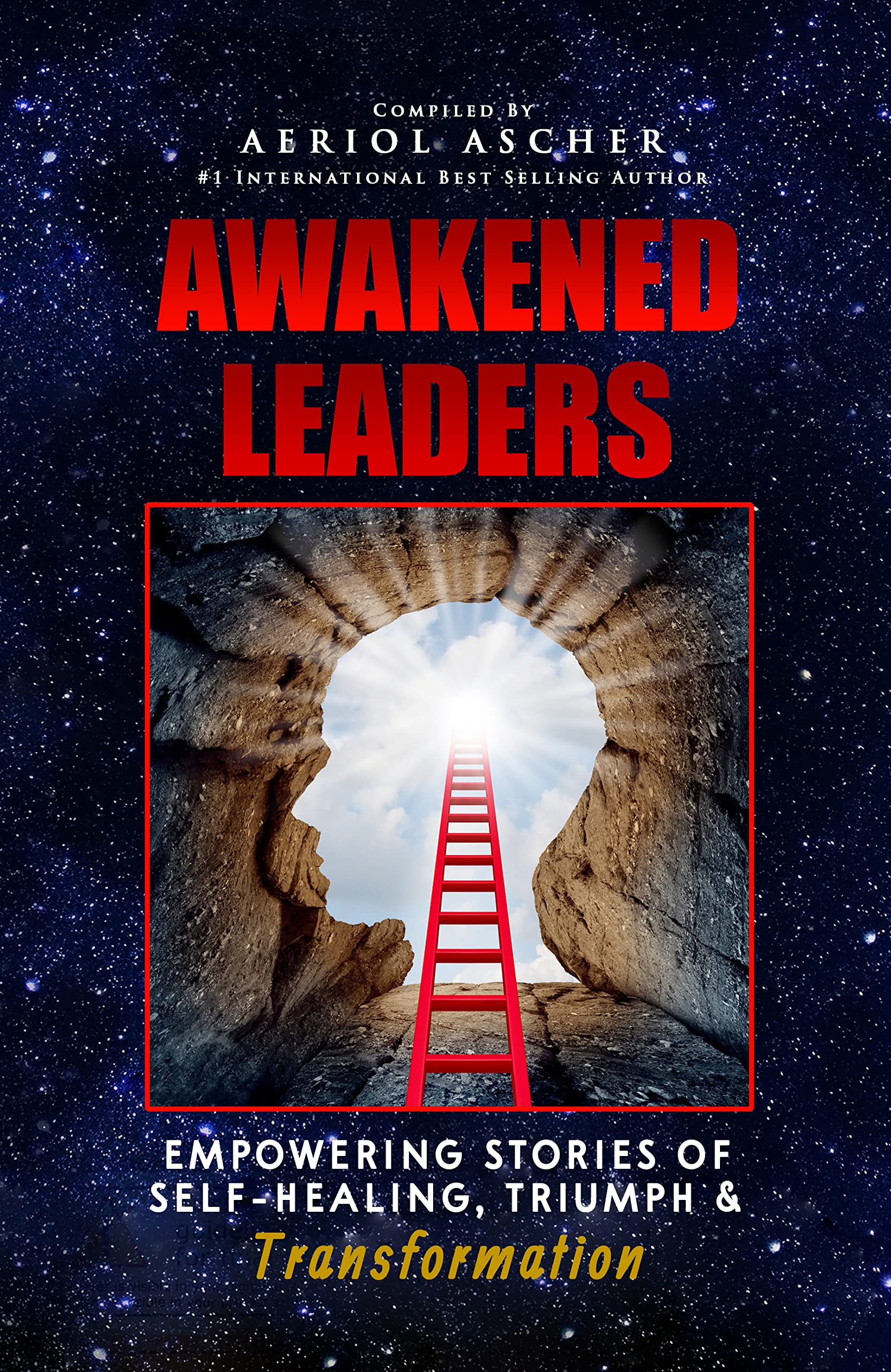 Awakened Leaders: Empowering Stories of Self-Healing, Triumph and ...