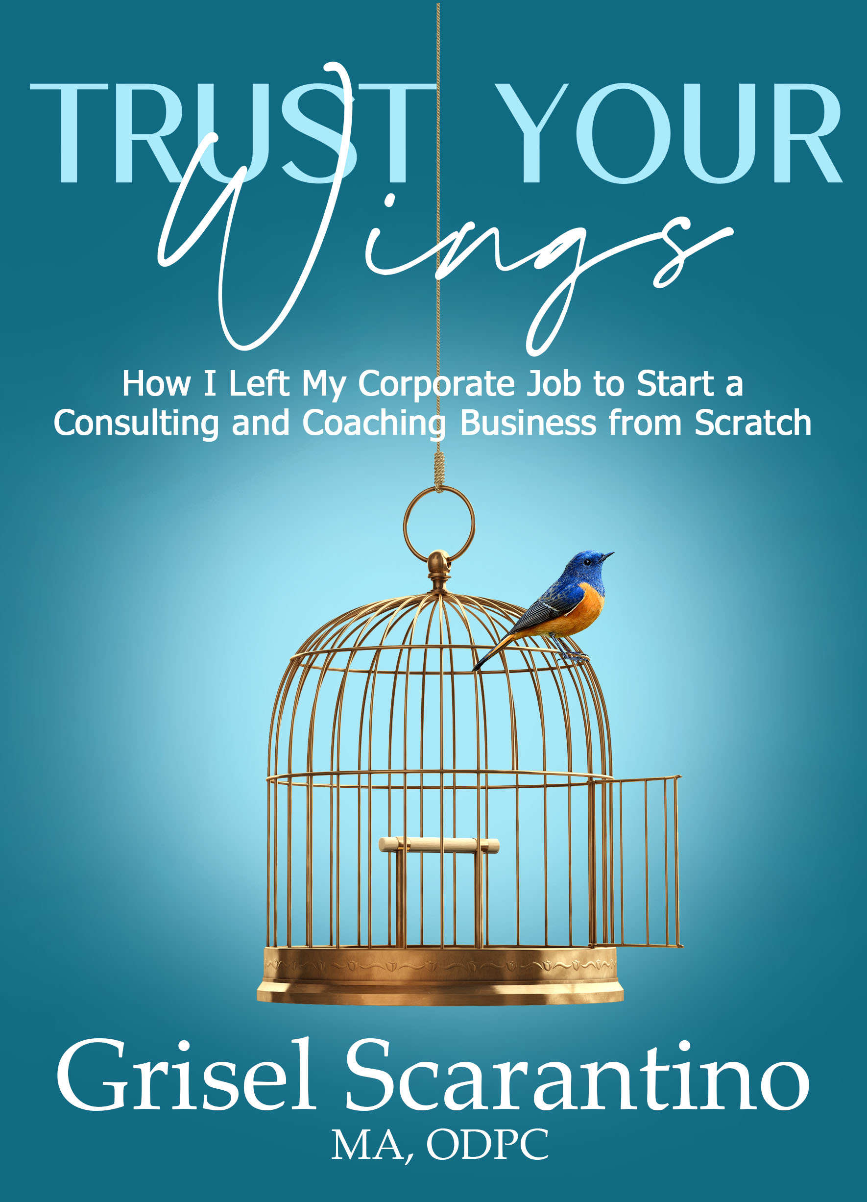 Trust Your Wings: How I Left My Corporate Job to Start a Consulting and Coaching Business from ...