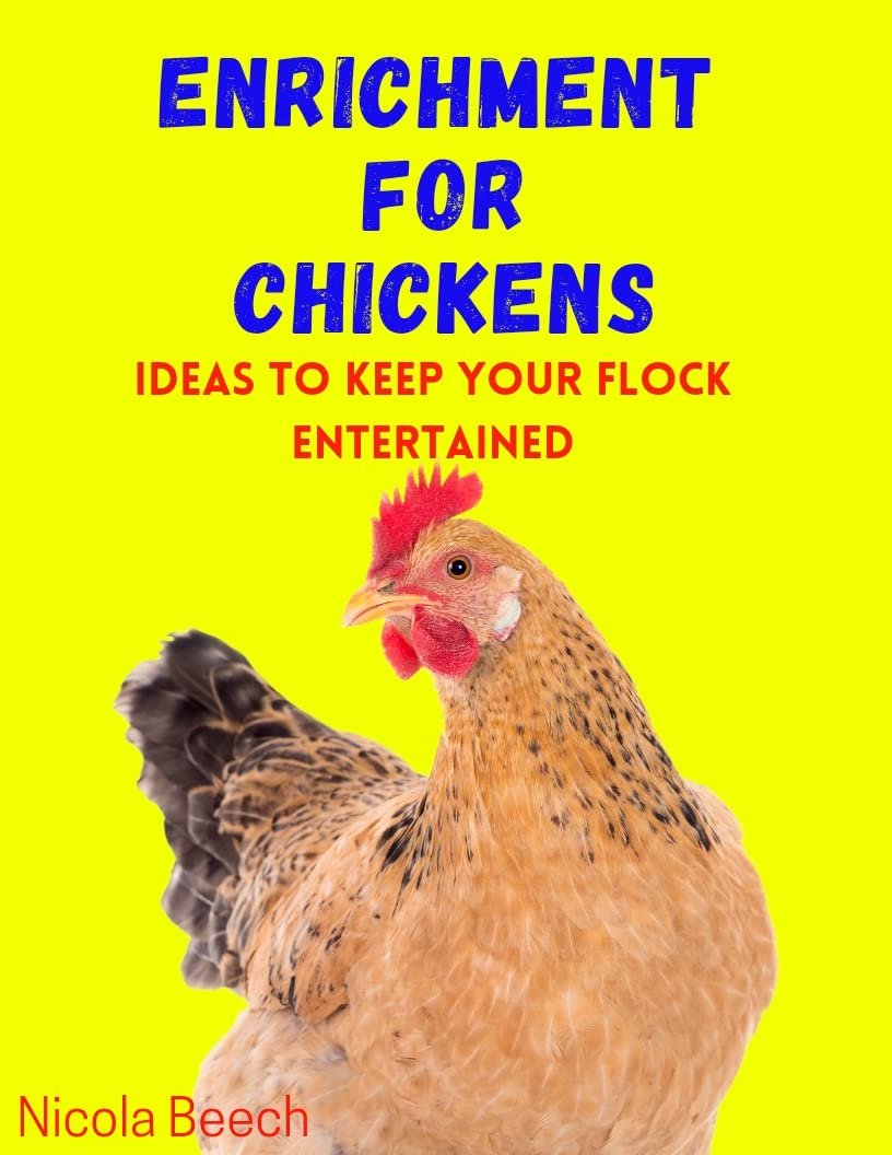 Enrichment for chickens: Ideas to keep your flock entertained. by ...