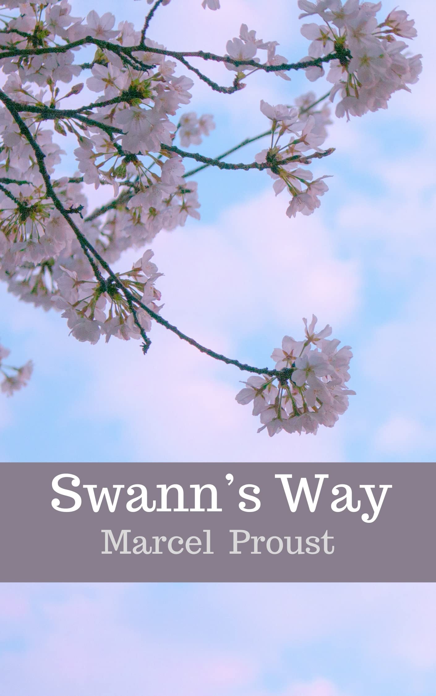 Swann’s Way: Marcel Proust (Classics Literature) [Annotated] by Marcel ...