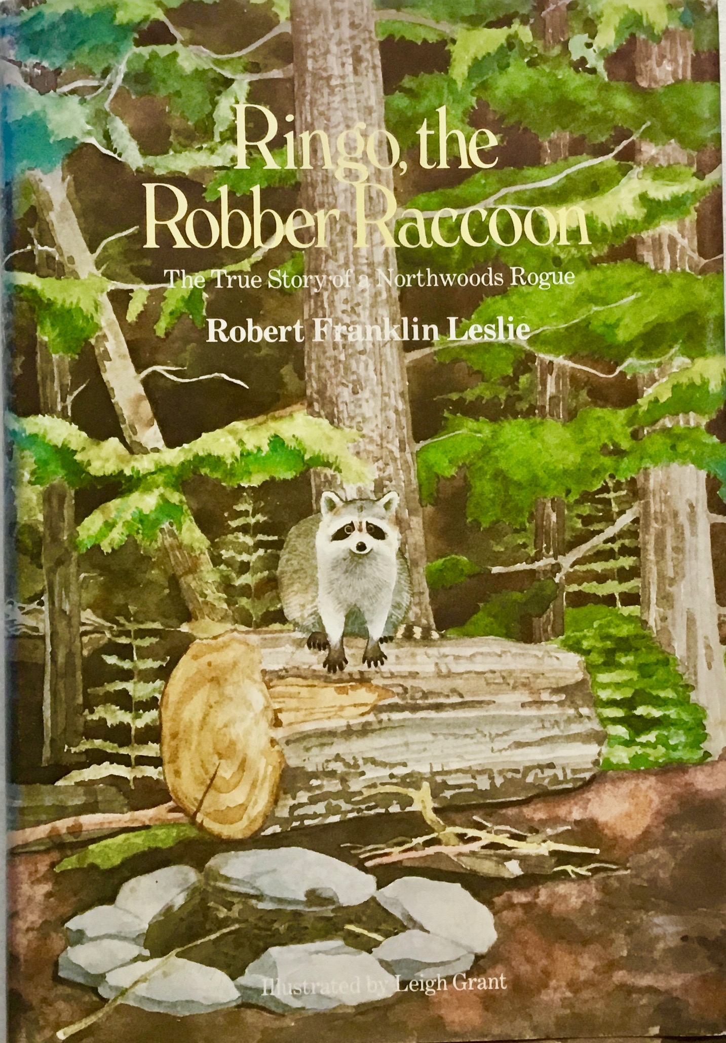 Ringo, the Robber Raccoon: The True Story of a Northwoods Rogue by ...