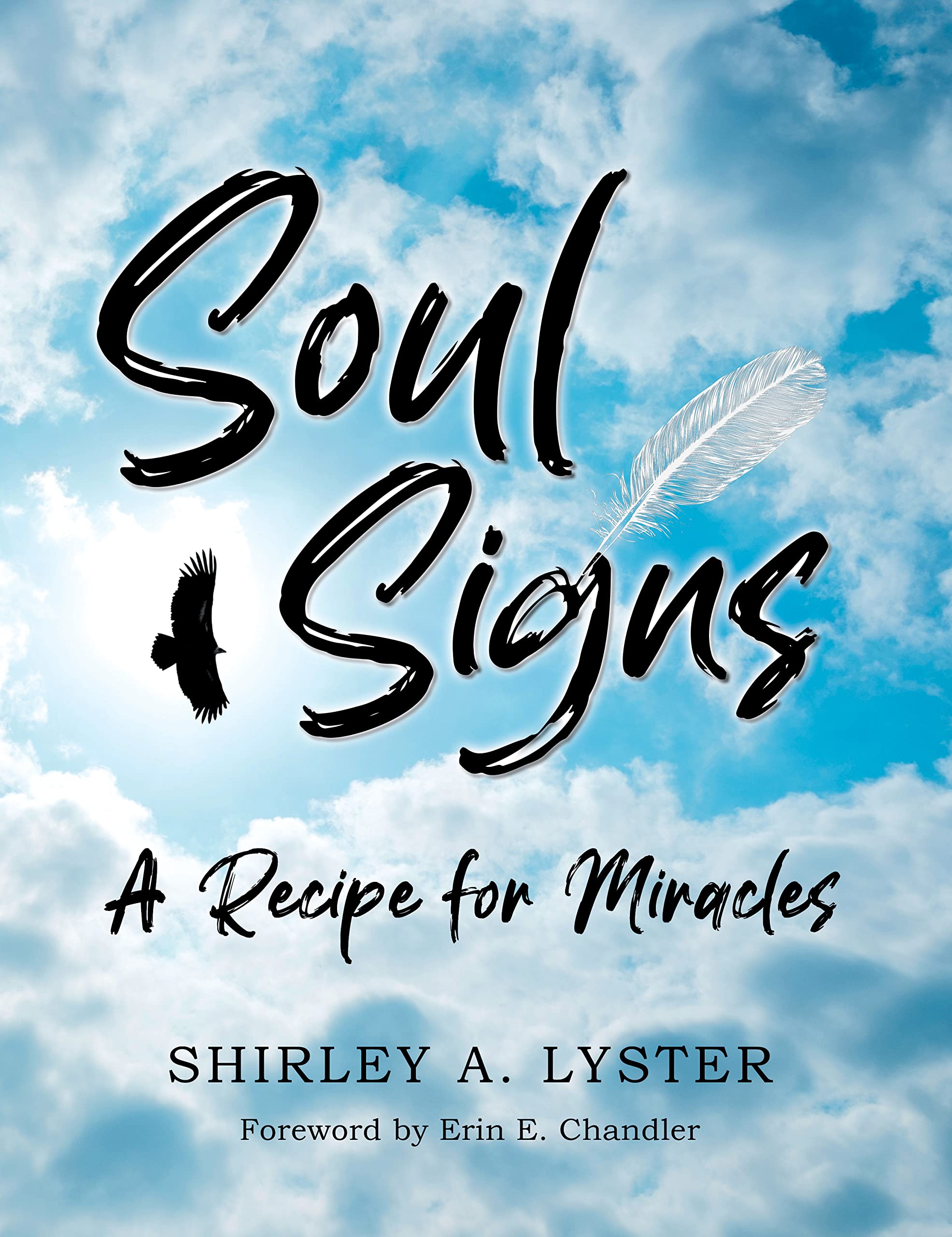 Soul Signs: A Recipe for Miracles by Shirley A. Lyster | Goodreads