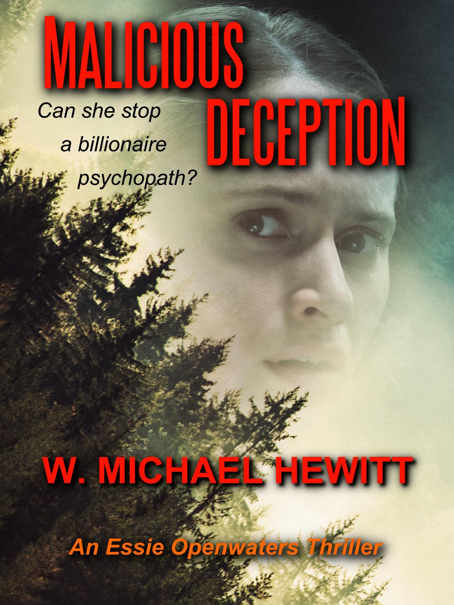 Malicious Deception: Can she stop a billionaire psychopath? by W ...