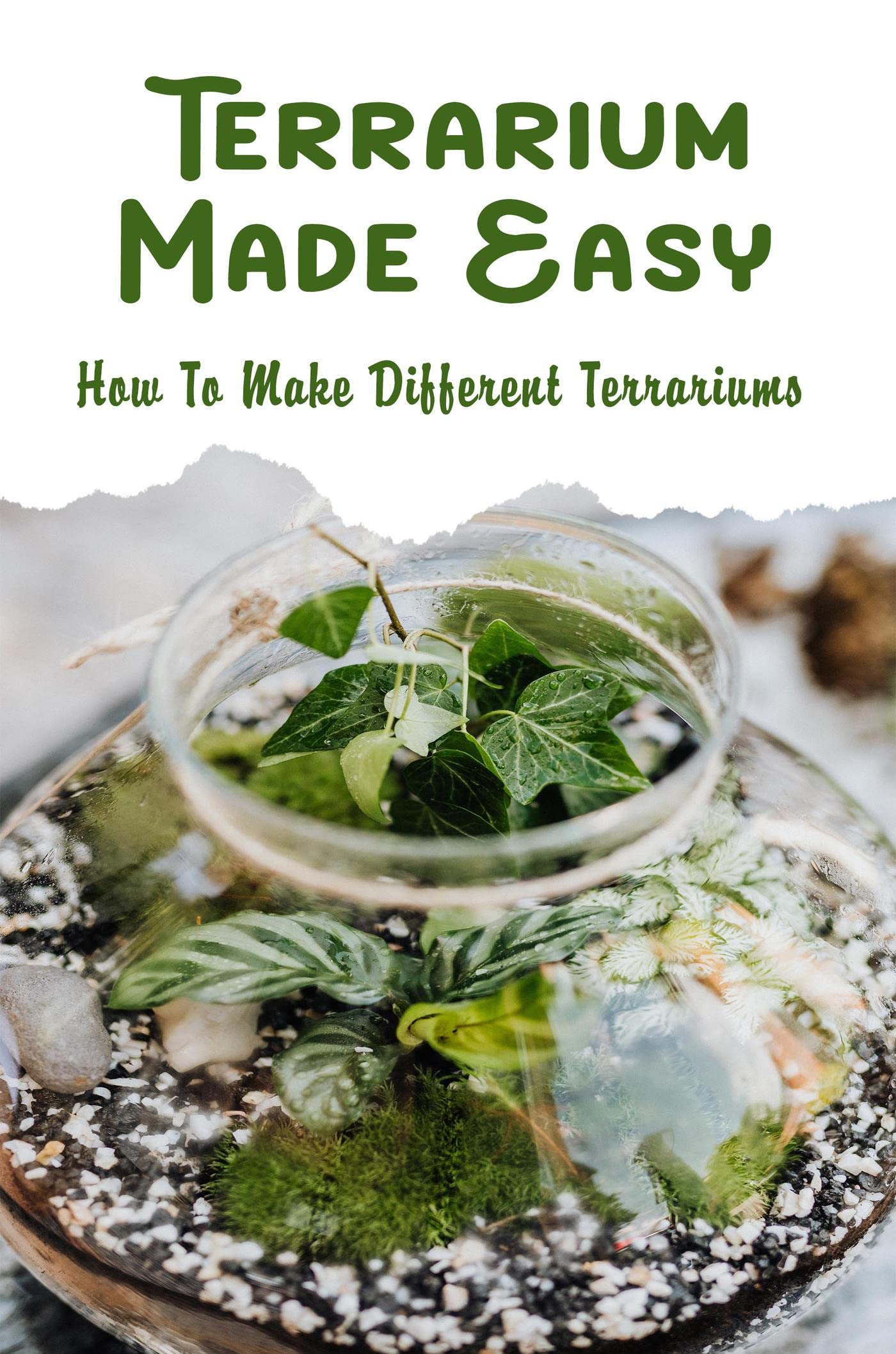 Terrarium Made Easy: How To Make Different Terrariums by Ellsworth ...