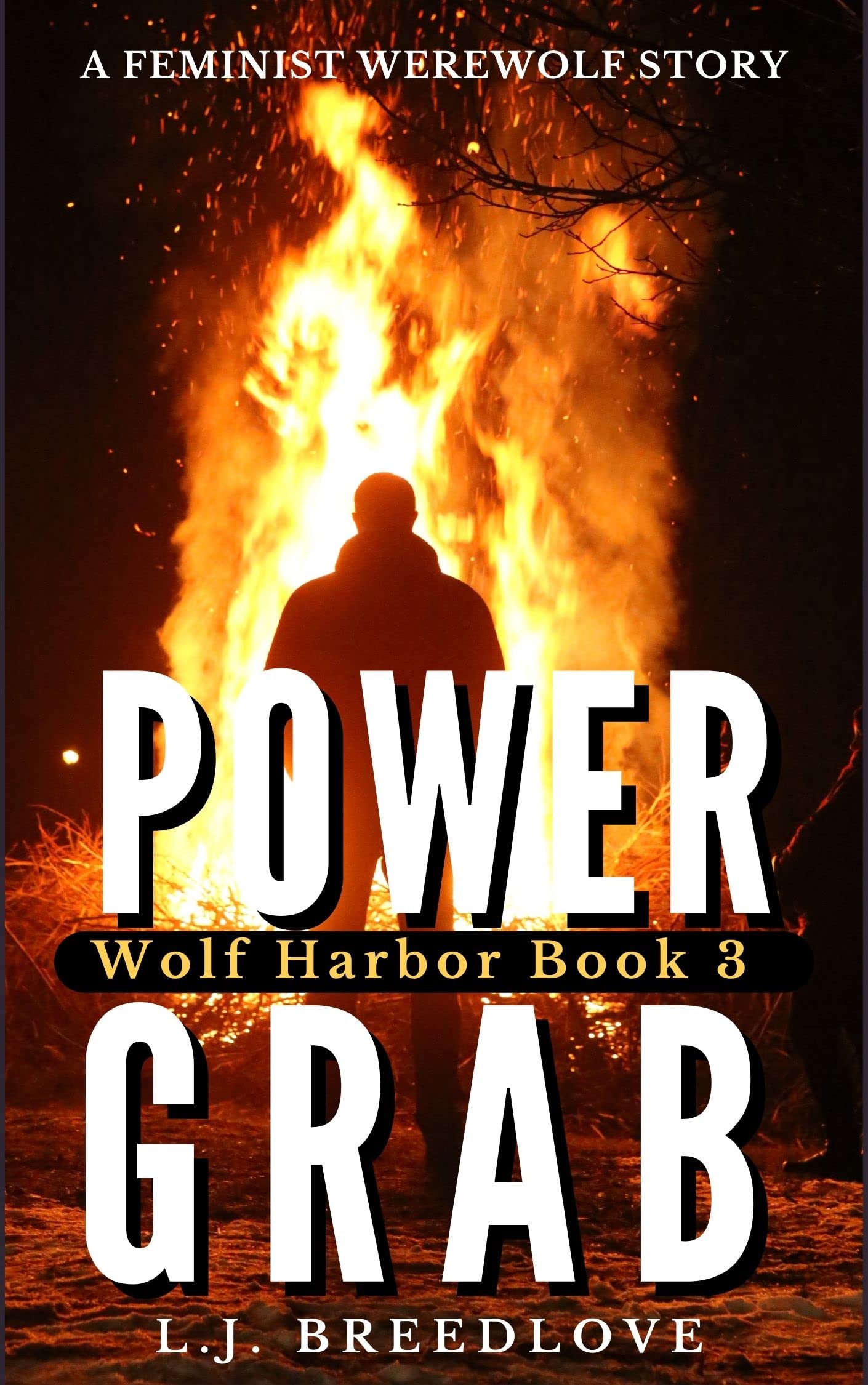 Power Grab (Wolf Harbor #3) by L.J. Breedlove | Goodreads