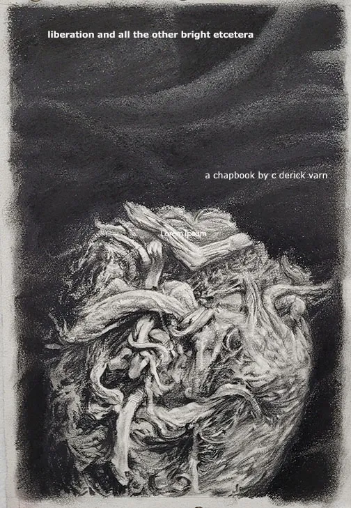 Liberation and All the Bright Etcetera by C. Derick Varn | Goodreads