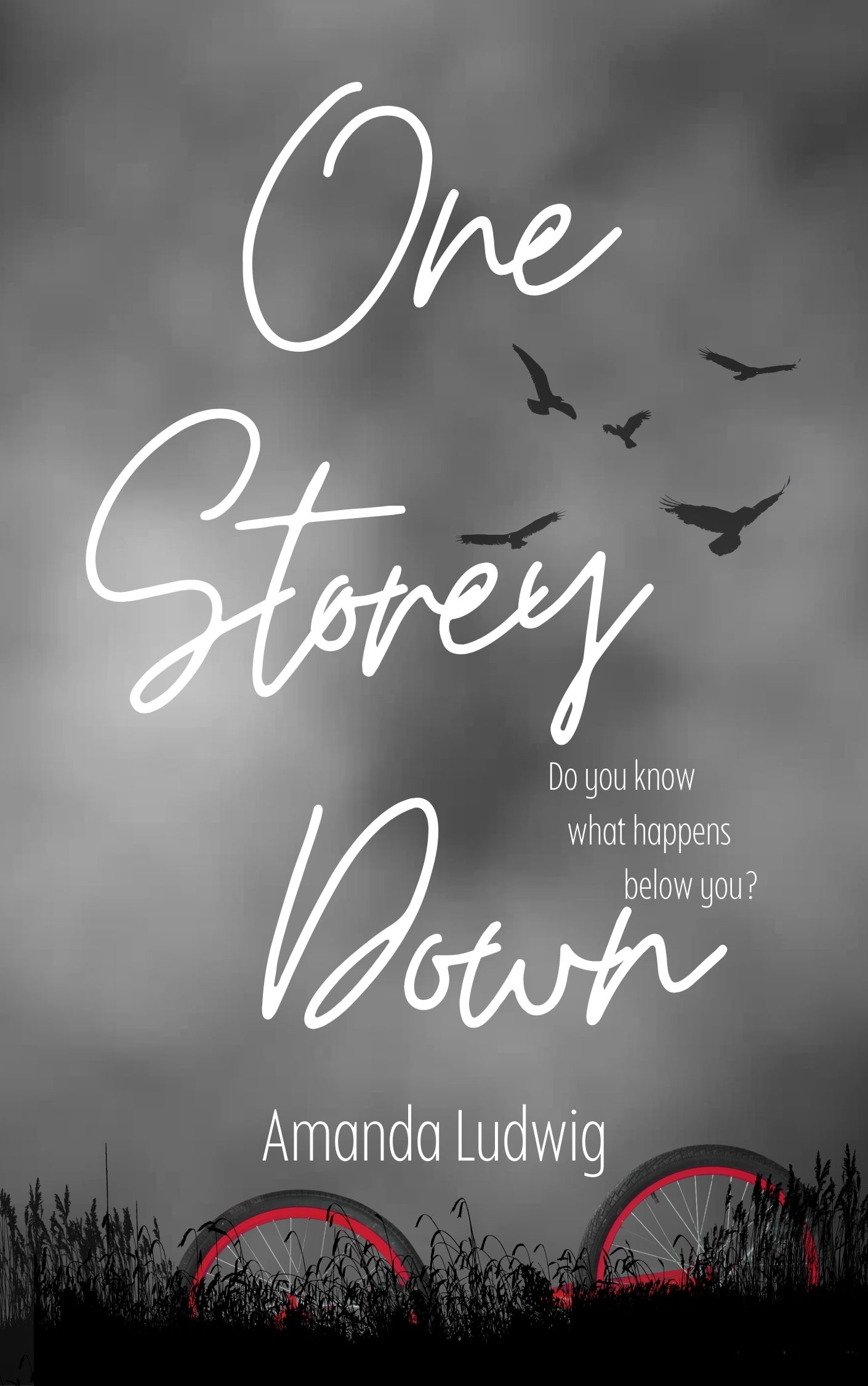 One Storey Down by Amanda Ludwig | Goodreads