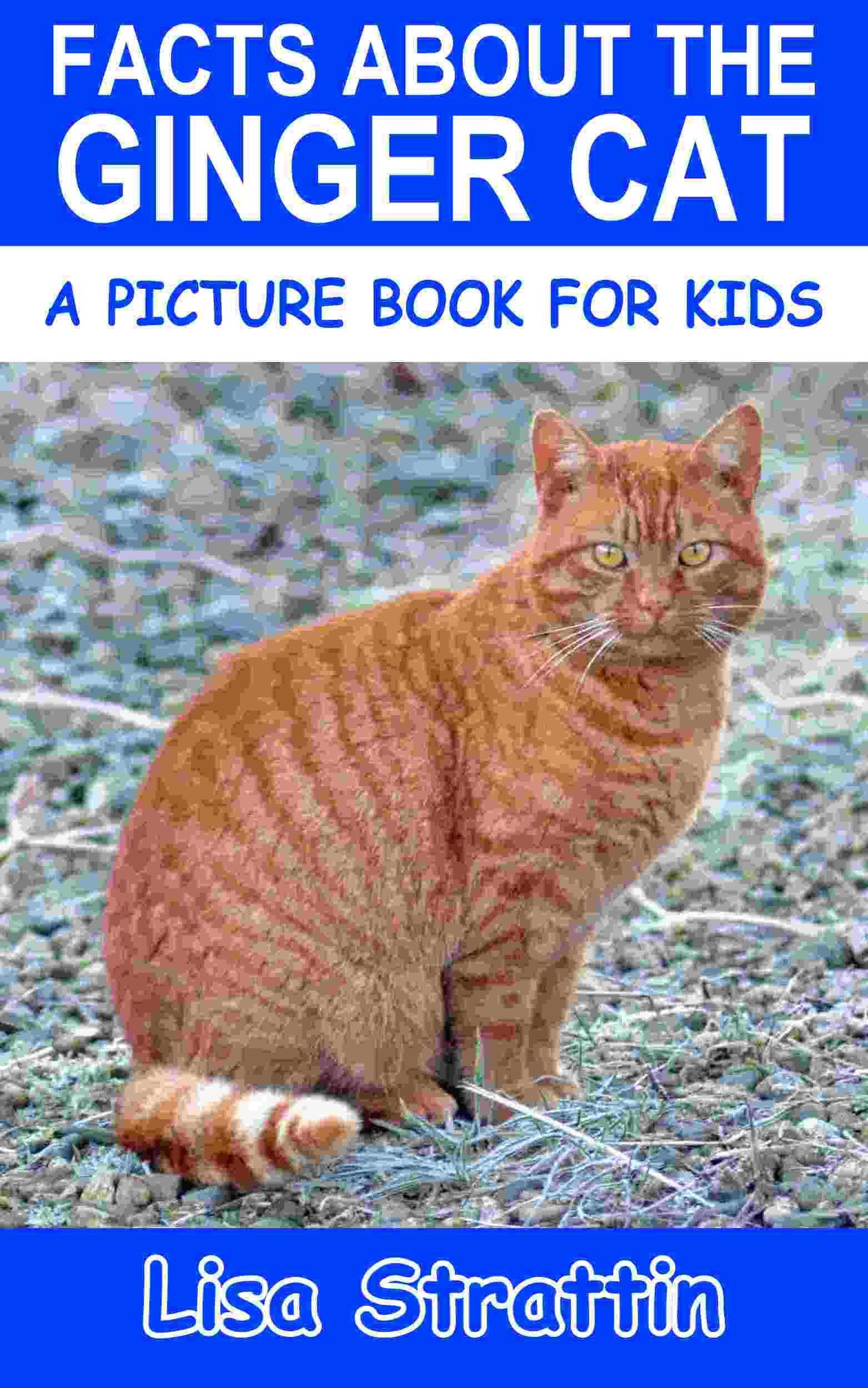Facts About the Ginger Cat by Lisa Strattin | Goodreads
